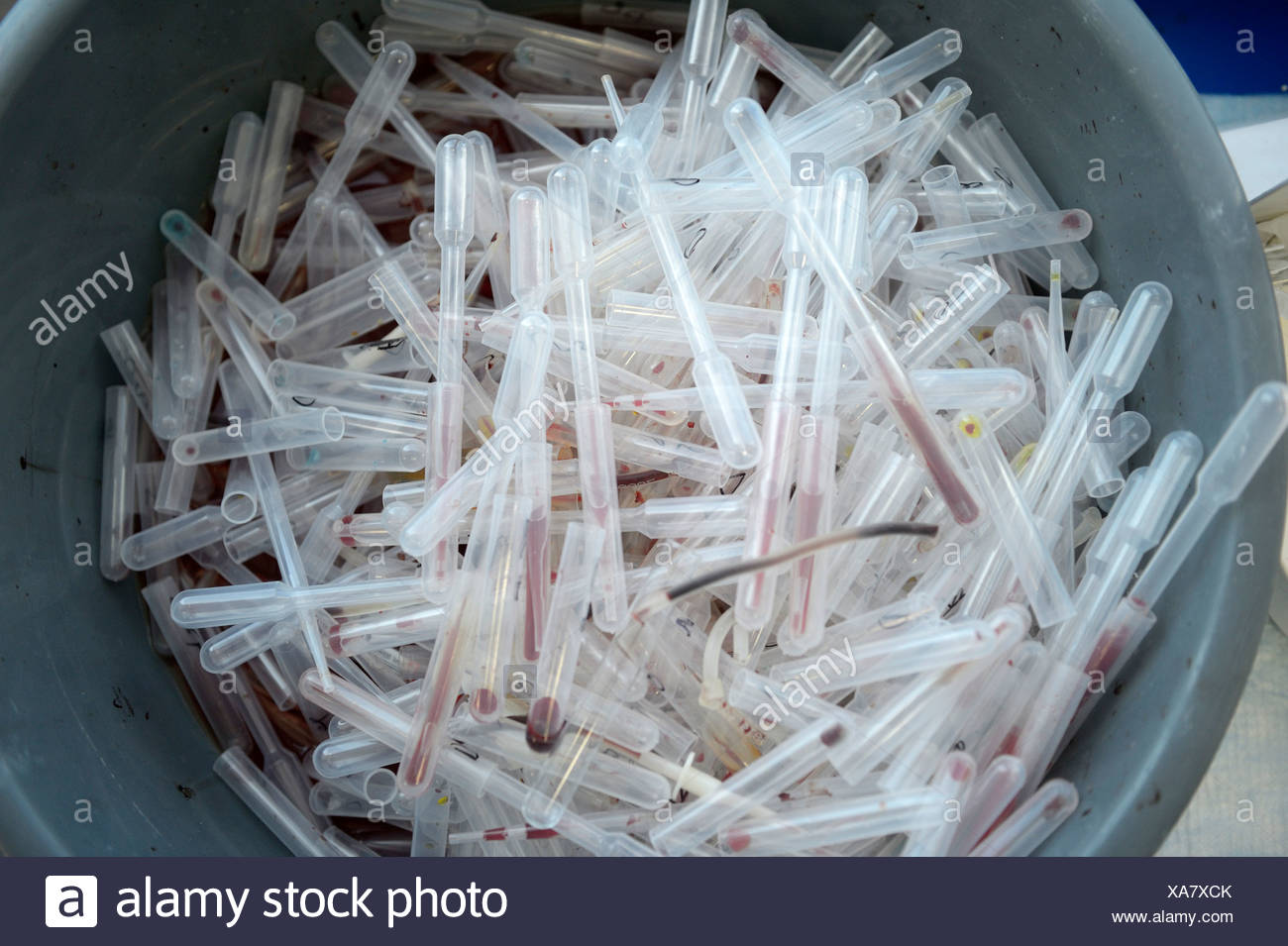 Blood Waste Container High Resolution Stock Photography and Images - Alamy