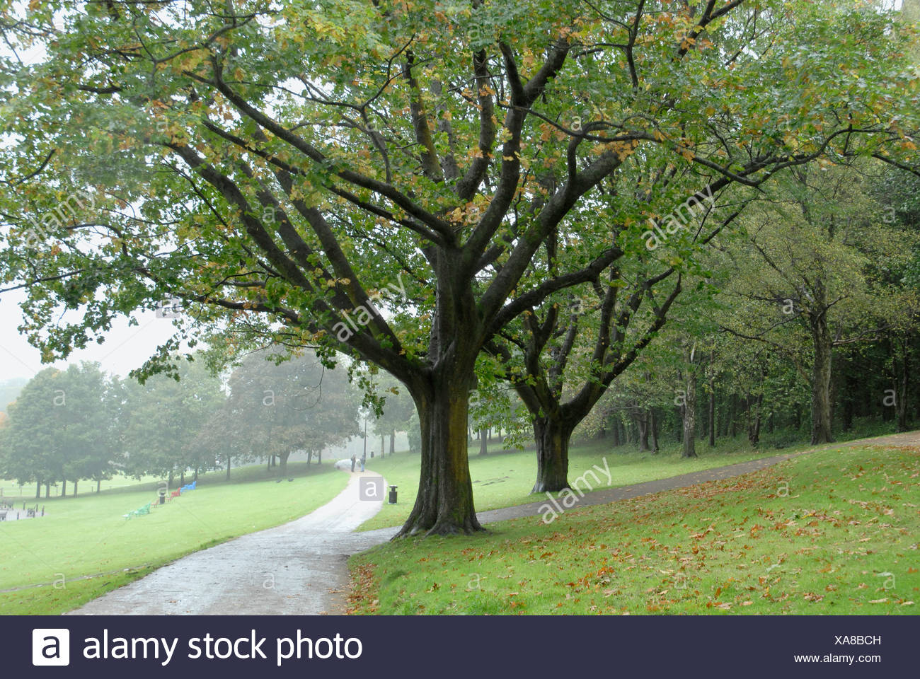 Pontypool Stock Photos & Pontypool Stock Images - Alamy