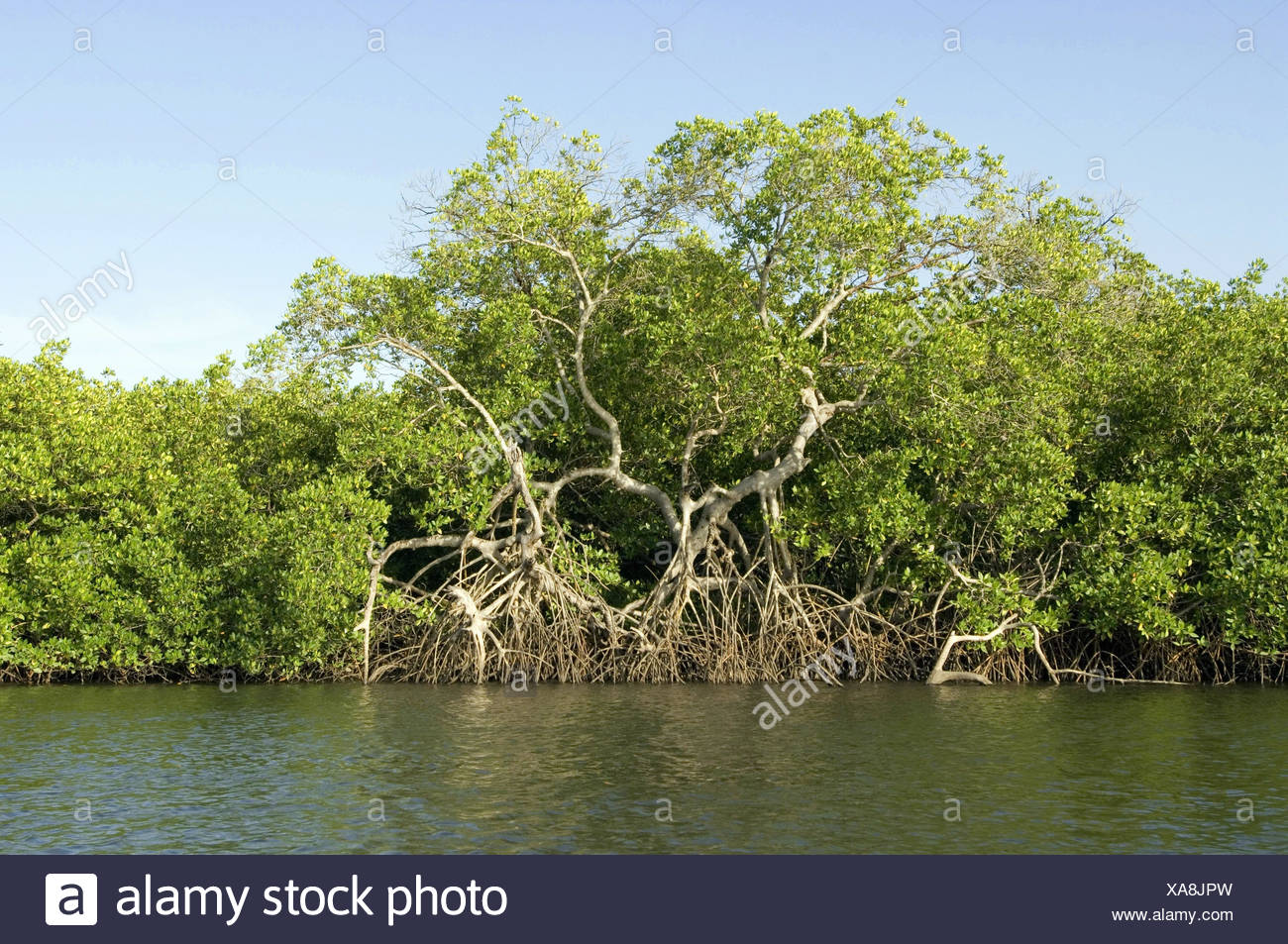 Sine Saloum Delta Stock Photos & Sine Saloum Delta Stock Images - Alamy