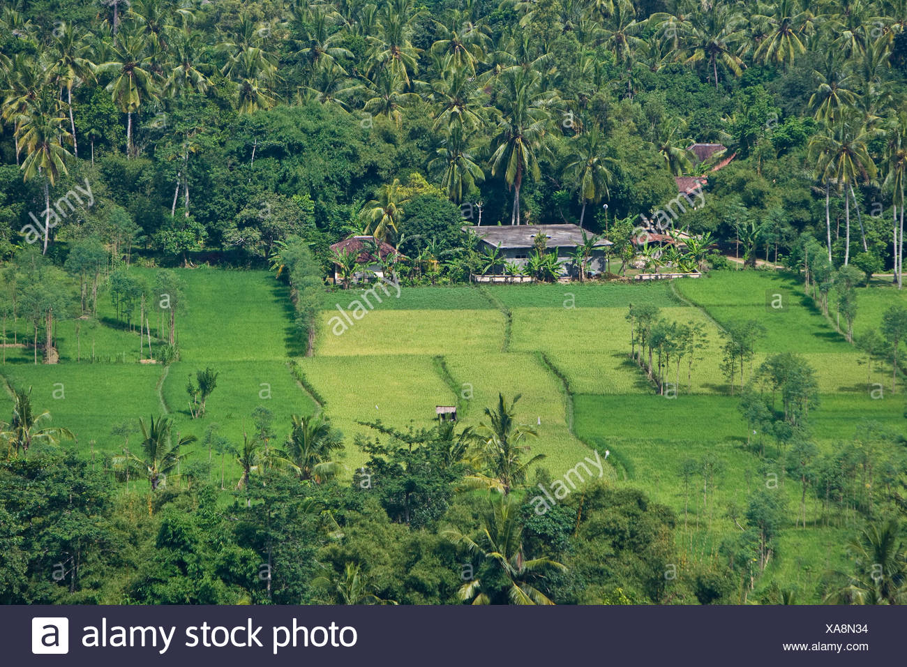 Extensive Landscape High Resolution Stock Photography and Images - Alamy