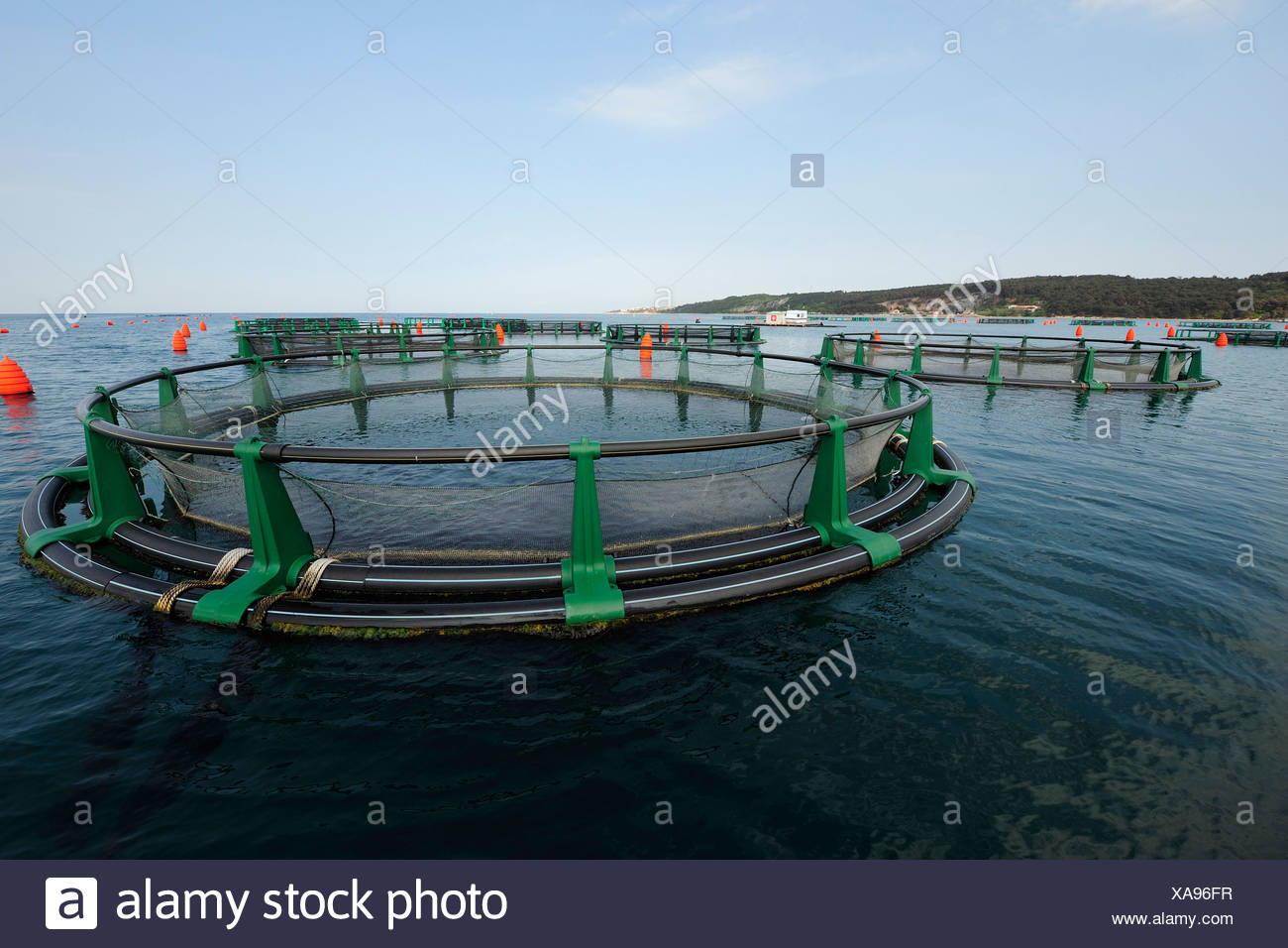 Fish Farm Cages High Resolution Stock Photography and Images - Alamy