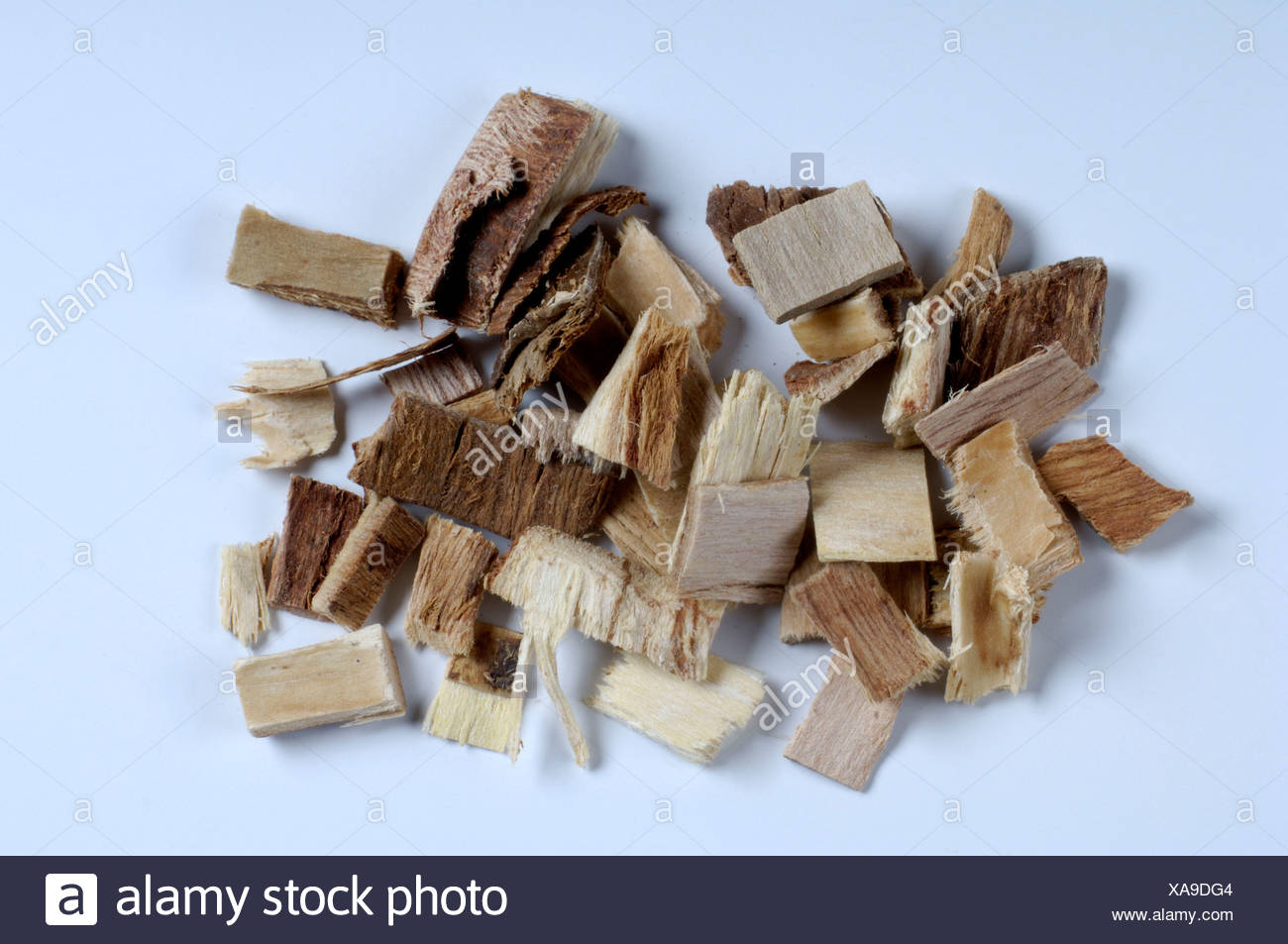 Quillaia Soap Bark High Resolution Stock Photography and Images - Alamy