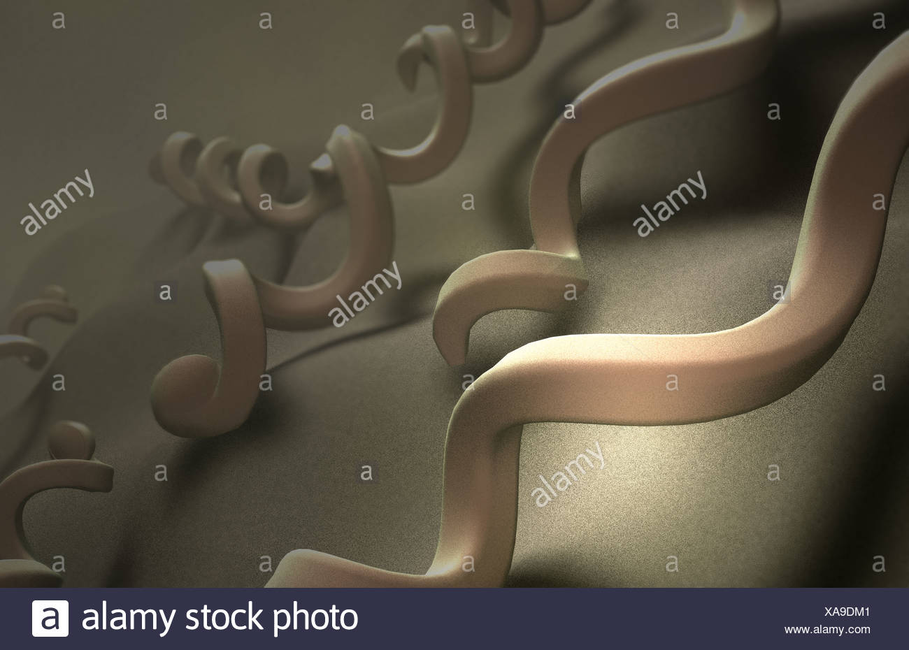 Treponema Pallidum Under Microscope