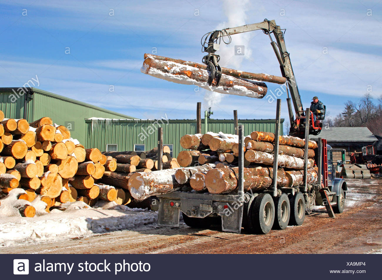 American Logging High Resolution Stock Photography and Images - Alamy