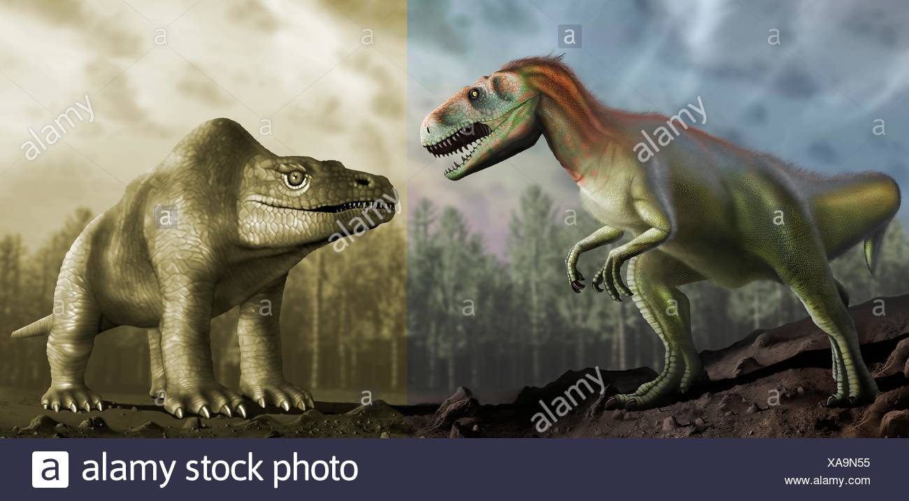 Medium Sized Theropod High Resolution Stock Photography and Images - Alamy