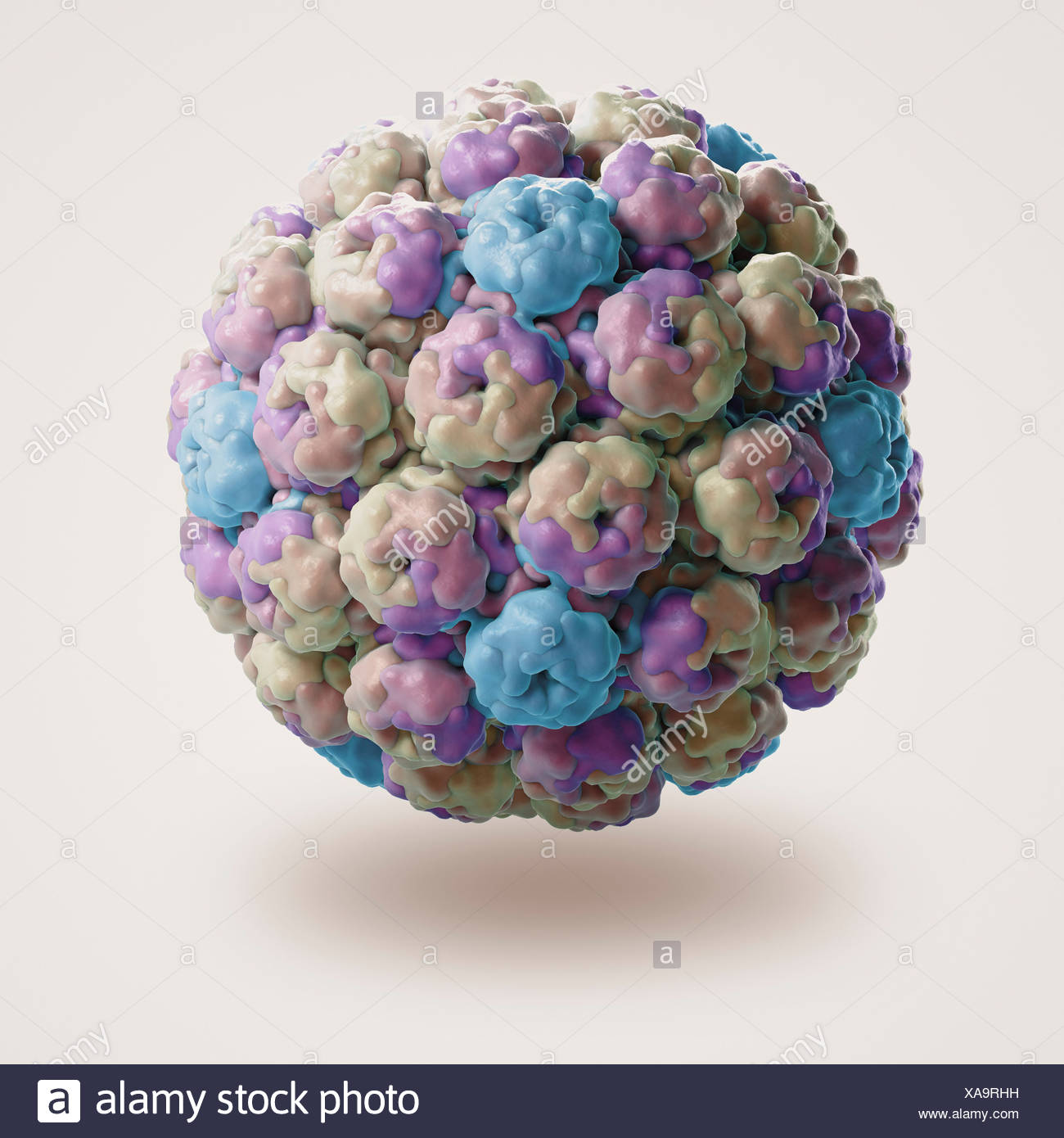 Polyomavirus High Resolution Stock Photography and Images - Alamy