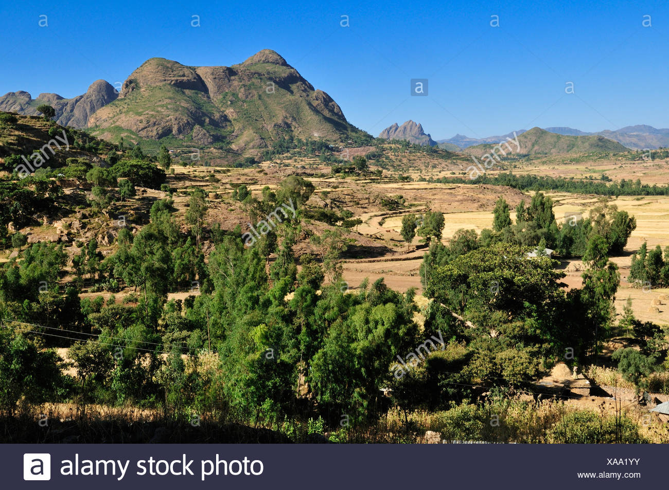 Adwa Mountains High Resolution Stock Photography and Images - Alamy