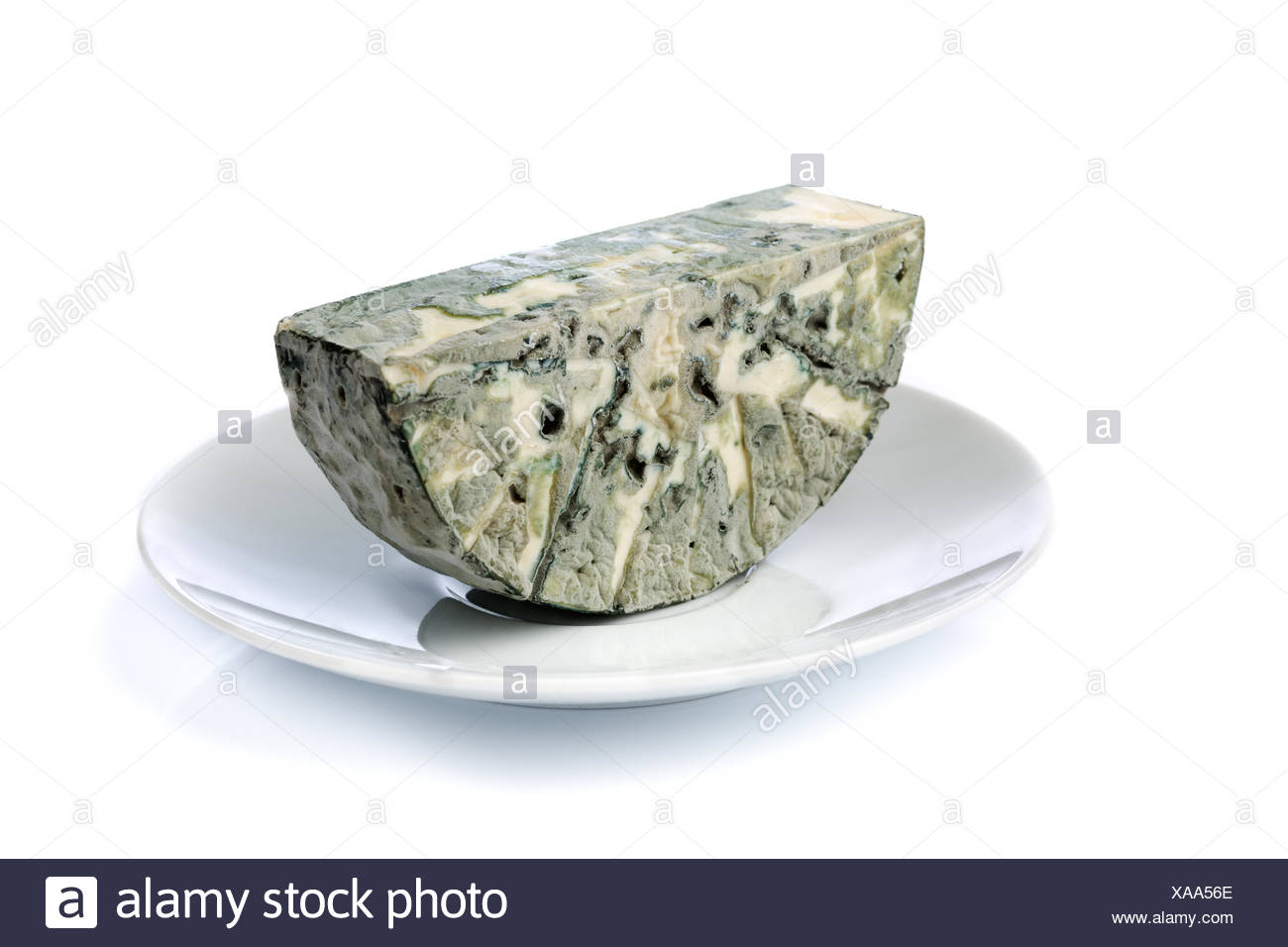 Moldy Cheese Stock Photos & Moldy Cheese Stock Images - Alamy