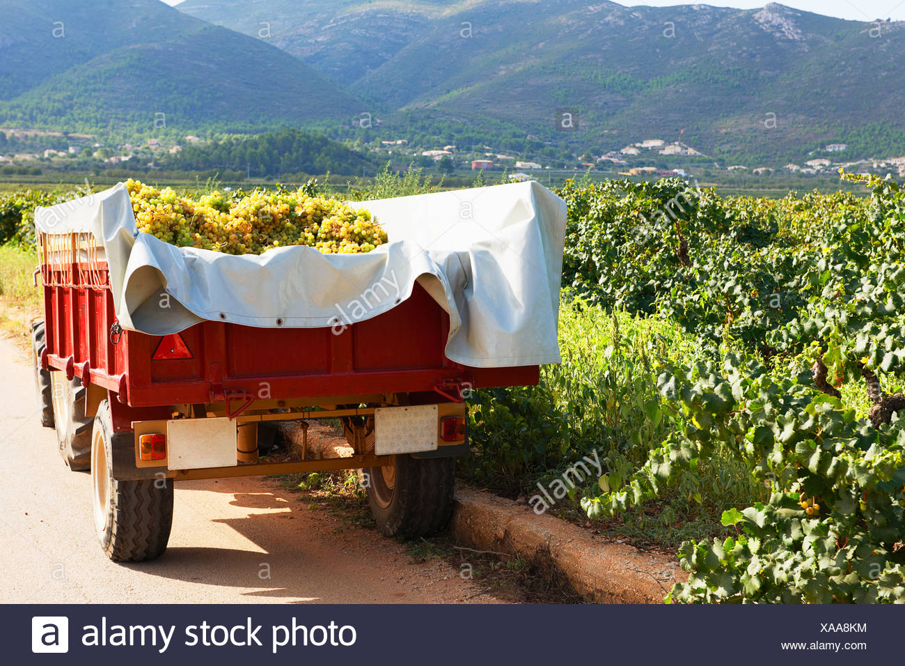 Tractor Trailer Truck High Resolution Stock Photography and Images - Alamy