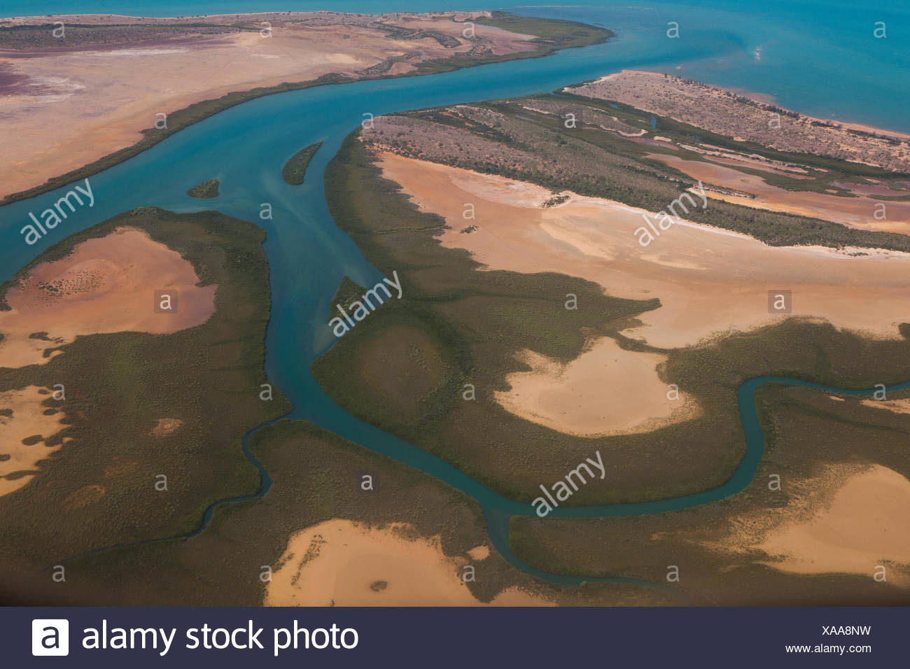 Carpenteria Stock Photos & Carpenteria Stock Images - Alamy