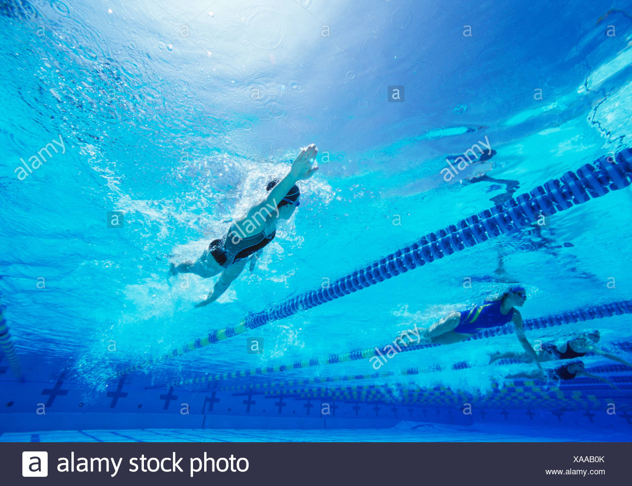 Swimmers Swimming High Resolution Stock Photography and Images - Alamy