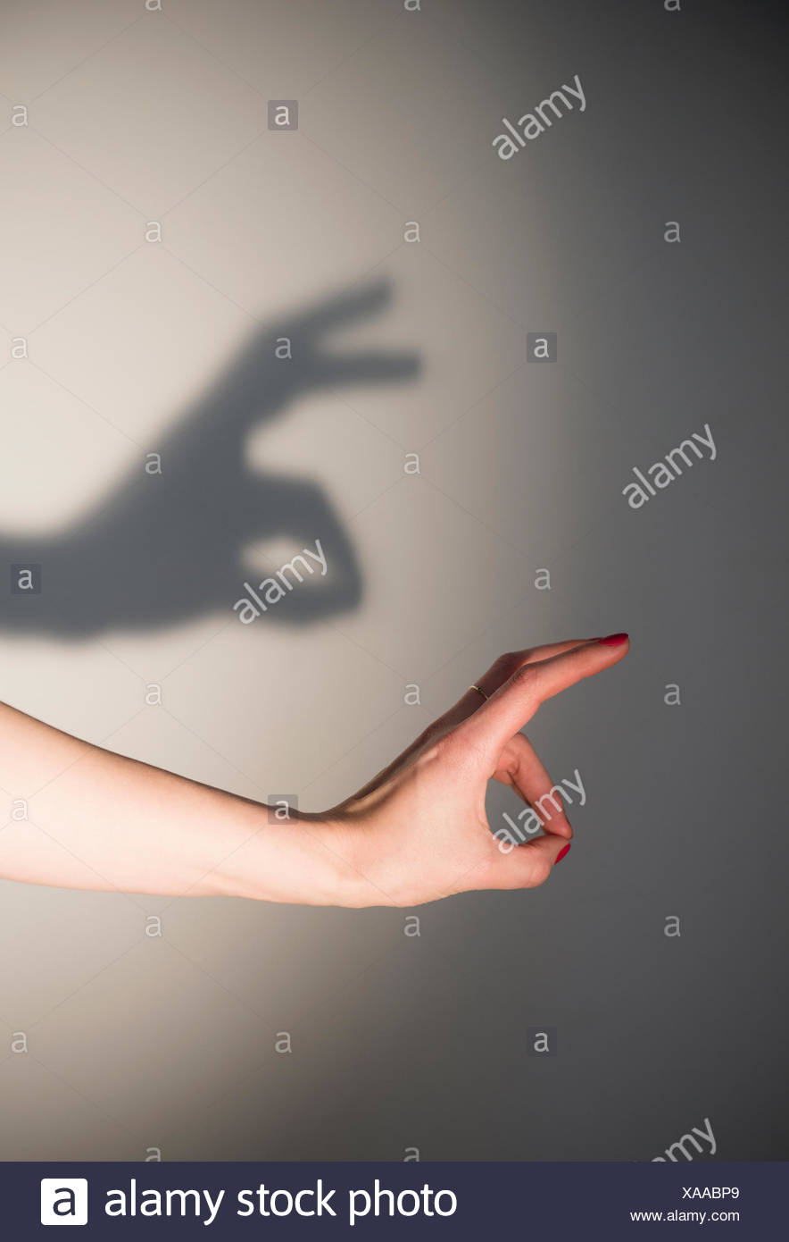 Shadow Rabbit High Resolution Stock Photography and Images - Alamy