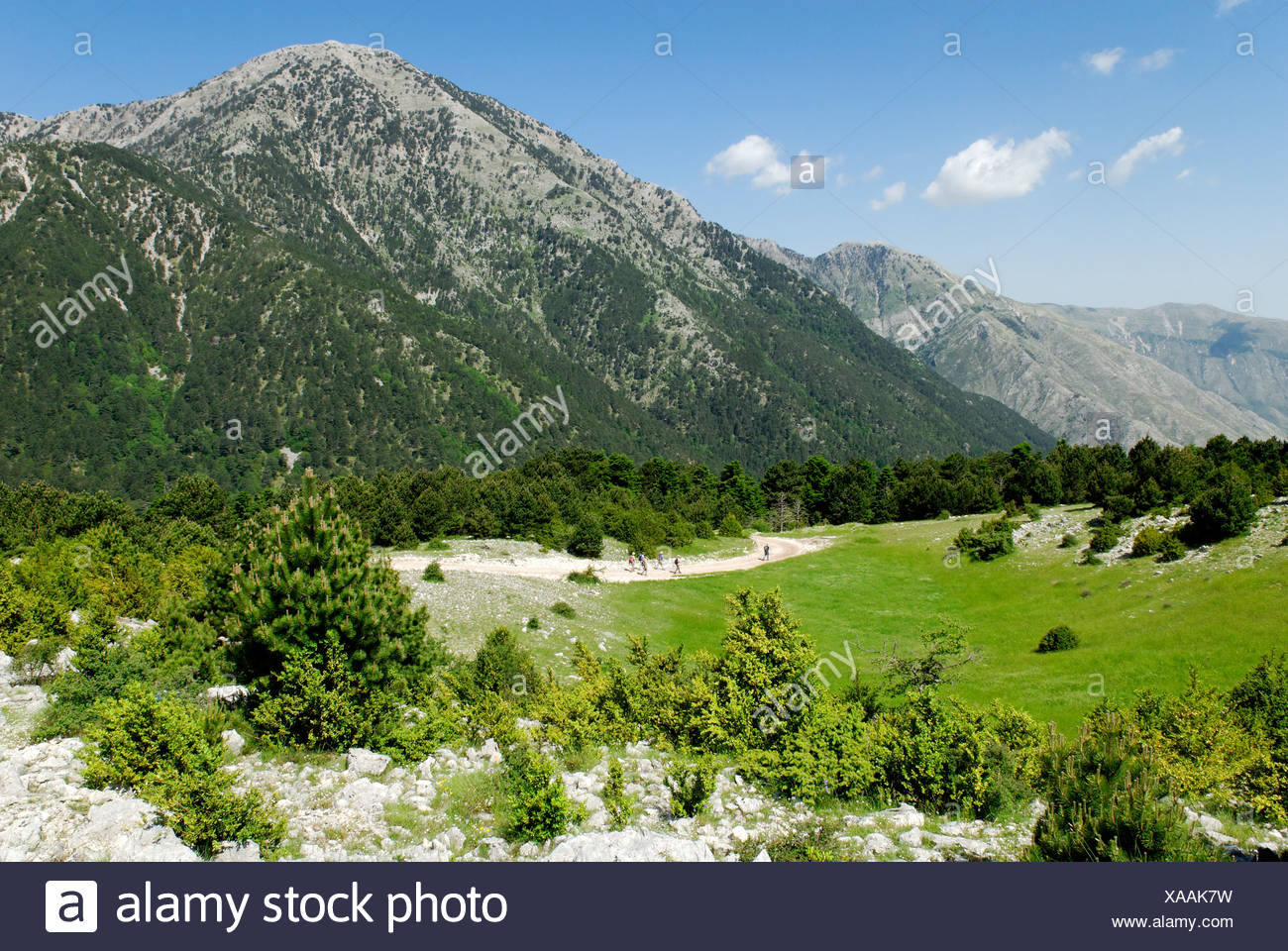 Llogara National Park High Resolution Stock Photography and Images - Alamy