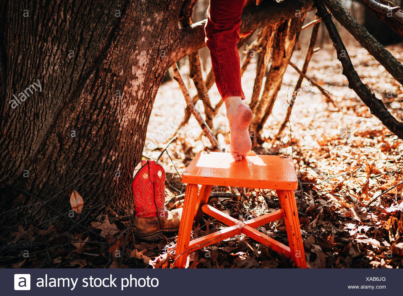 Children Climbing Tree Feet Stock Photos & Children Climbing Tree Feet ...