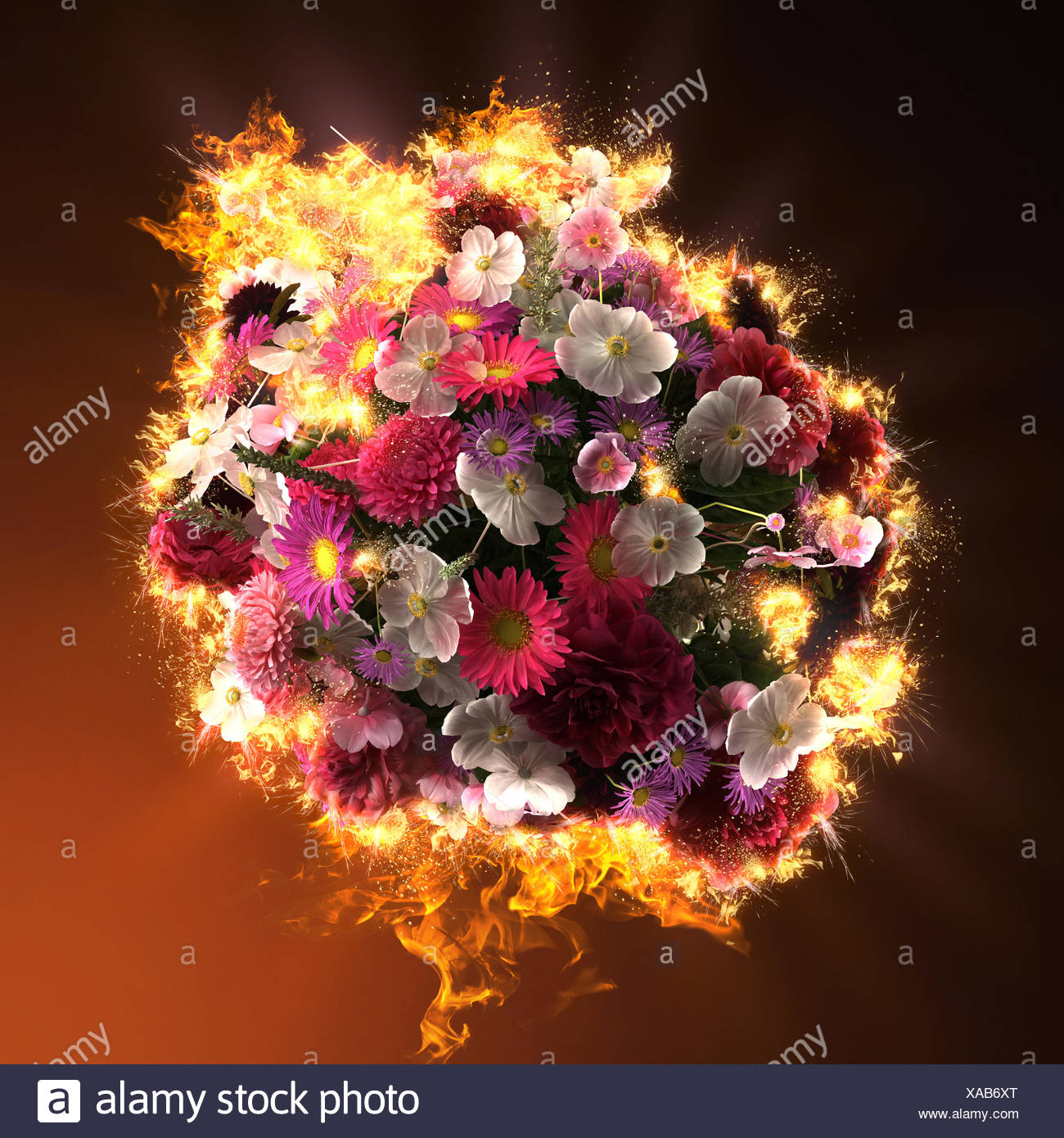 Packing Flowers High Resolution Stock Photography and Images - Alamy