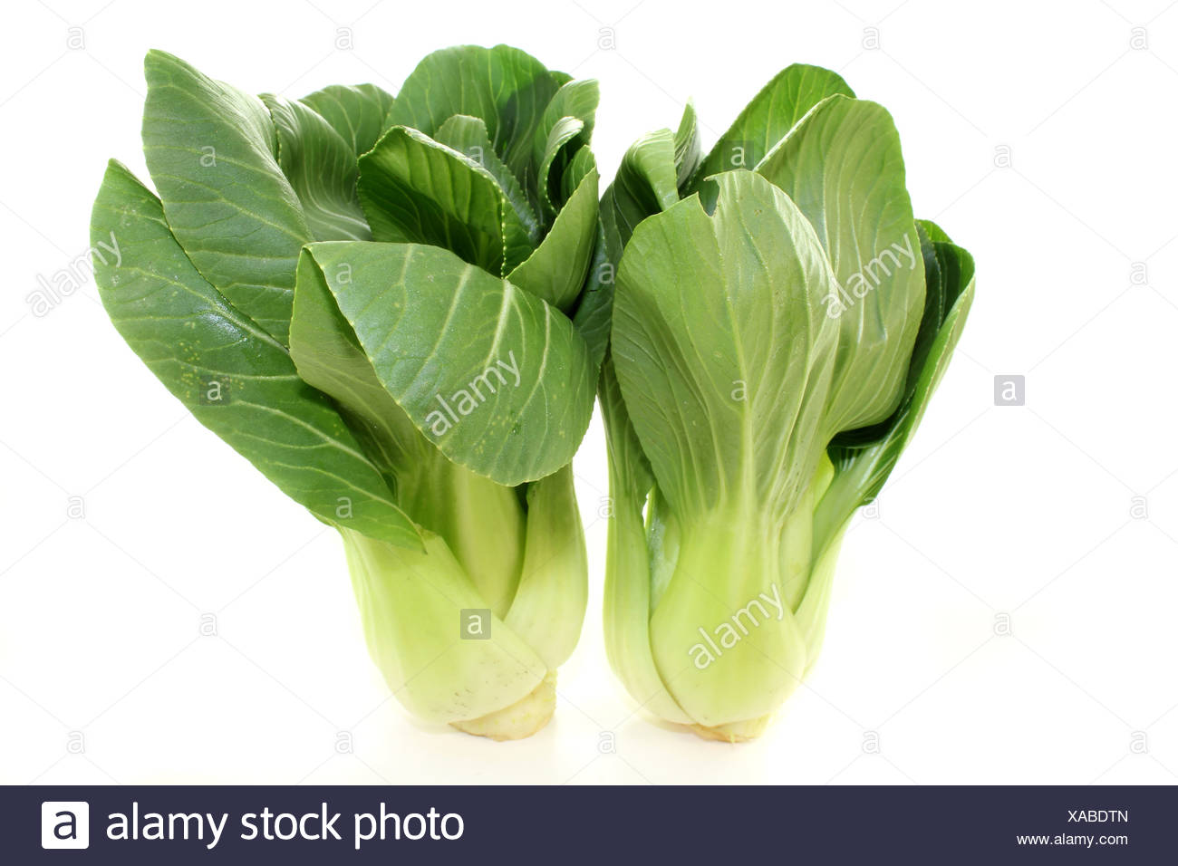 Baby Pok Choi High Resolution Stock Photography and Images - Alamy