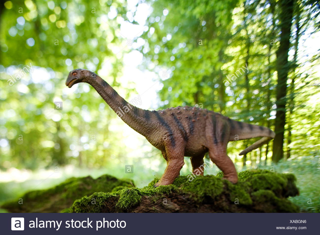 Saltasaurus High Resolution Stock Photography and Images - Alamy