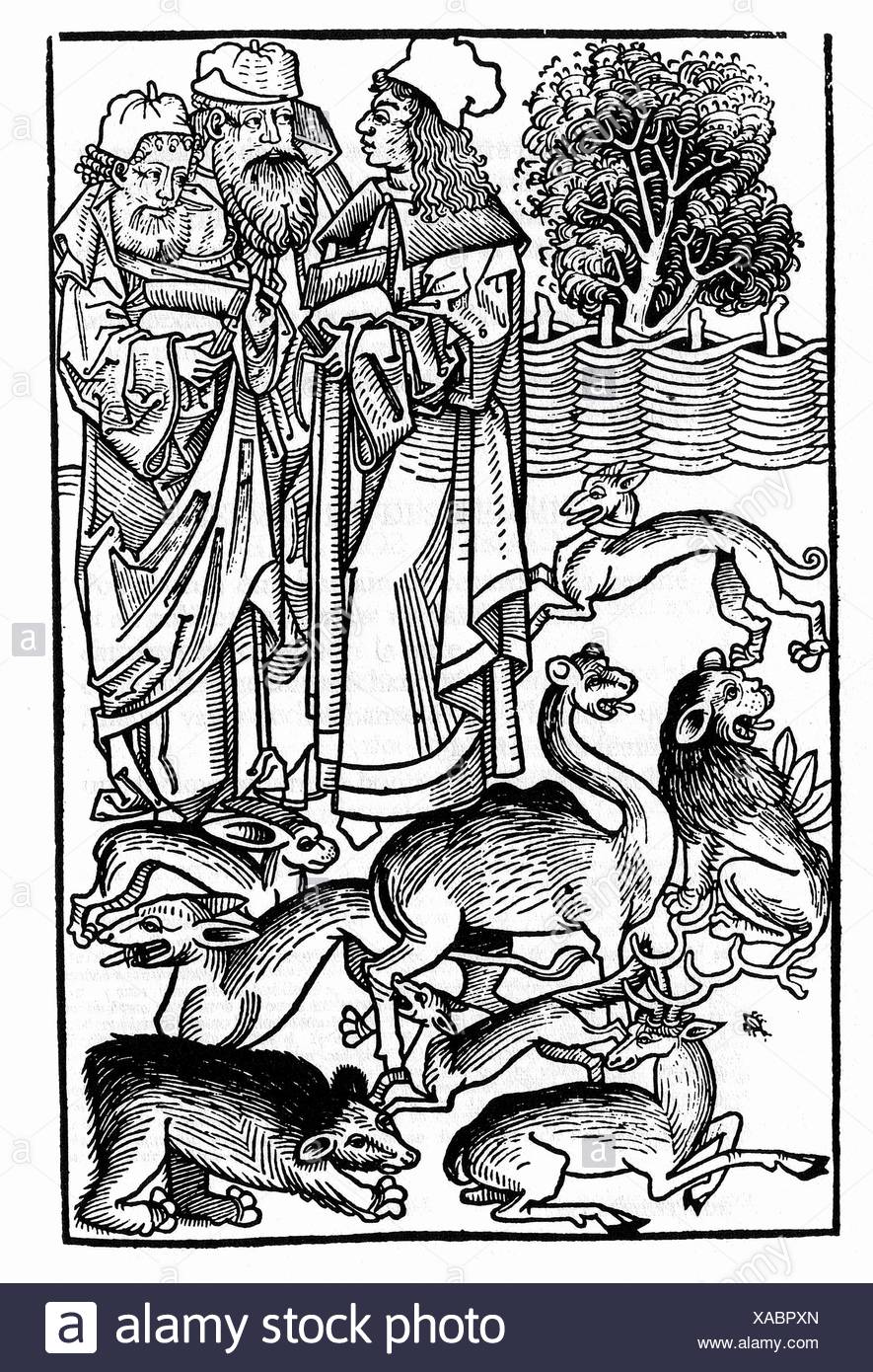 Biblical Plants High Resolution Stock Photography and Images - Alamy