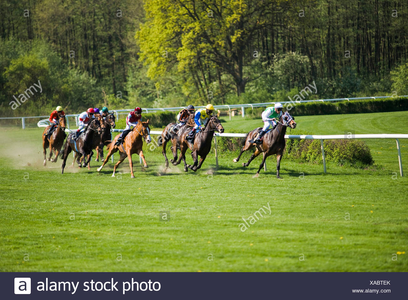 Horse Racing Tracks High Resolution Stock Photography and Images - Alamy
