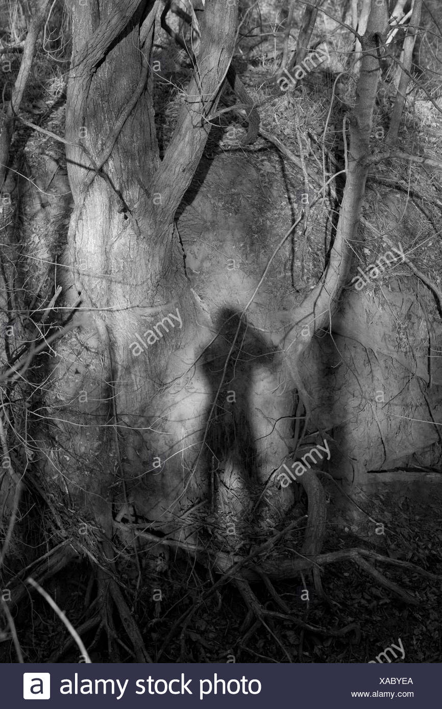 Persons Shadow High Resolution Stock Photography and Images - Alamy