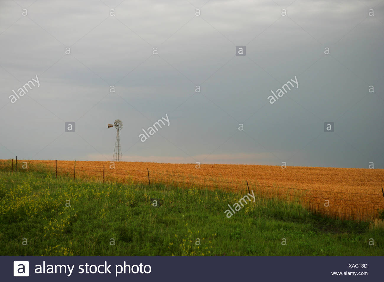 Field Wind Turbine High Resolution Stock Photography and Images - Alamy