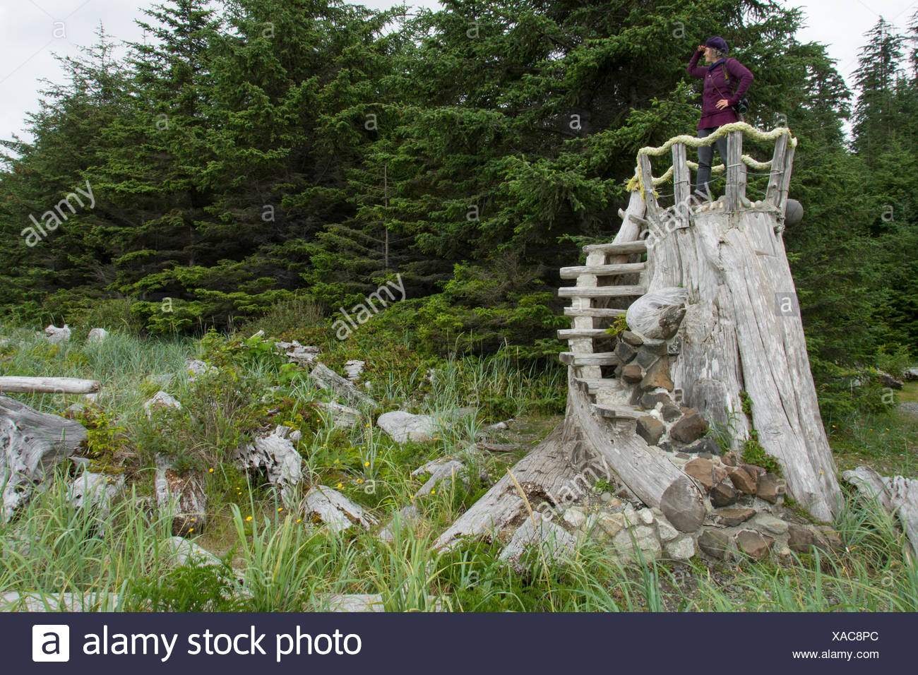 Jungle Folk High Resolution Stock Photography and Images - Alamy