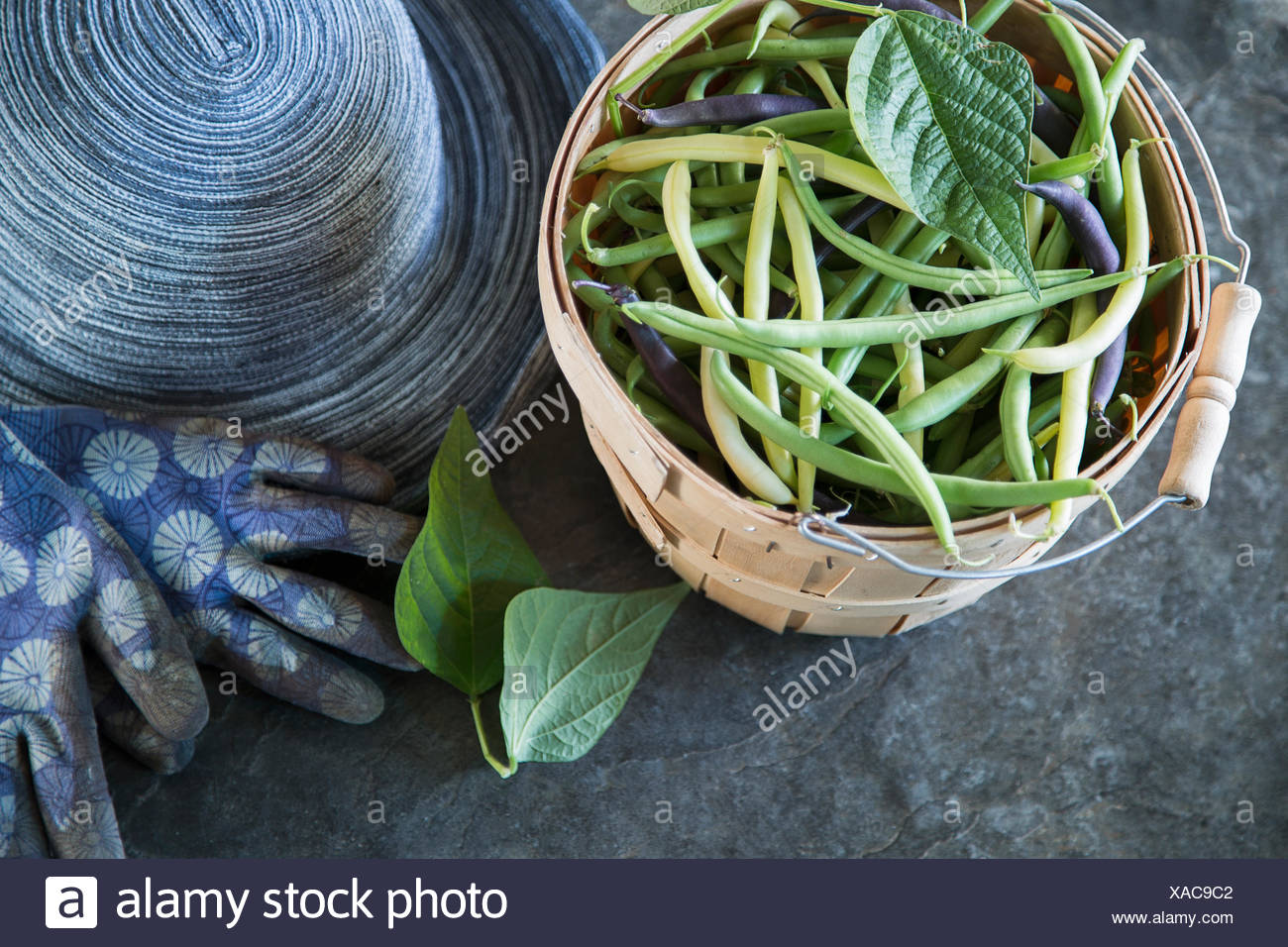 Runner Beans Stock Photos & Runner Beans Stock Images - Alamy