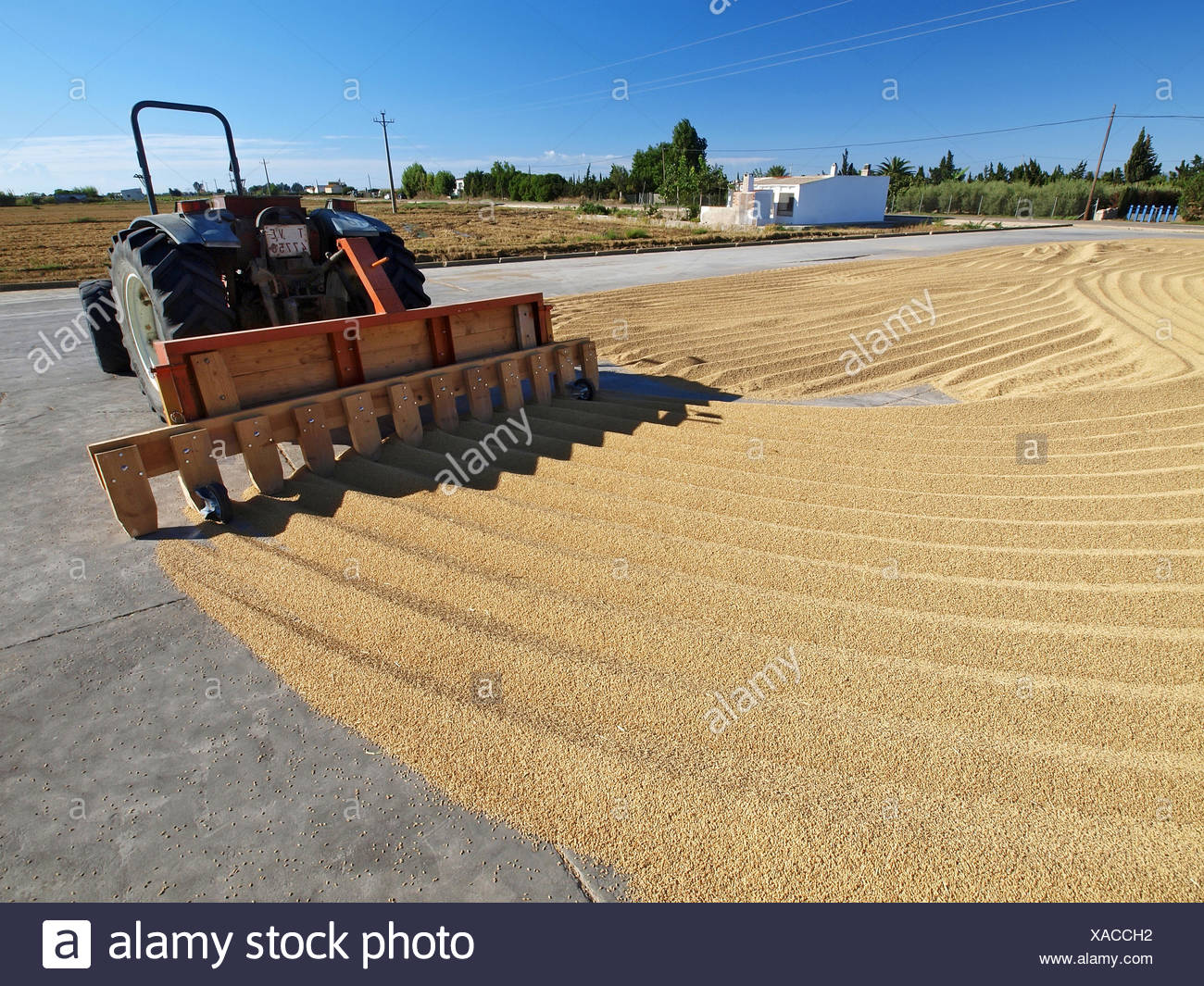 Threshing Floor High Resolution Stock Photography and Images - Alamy