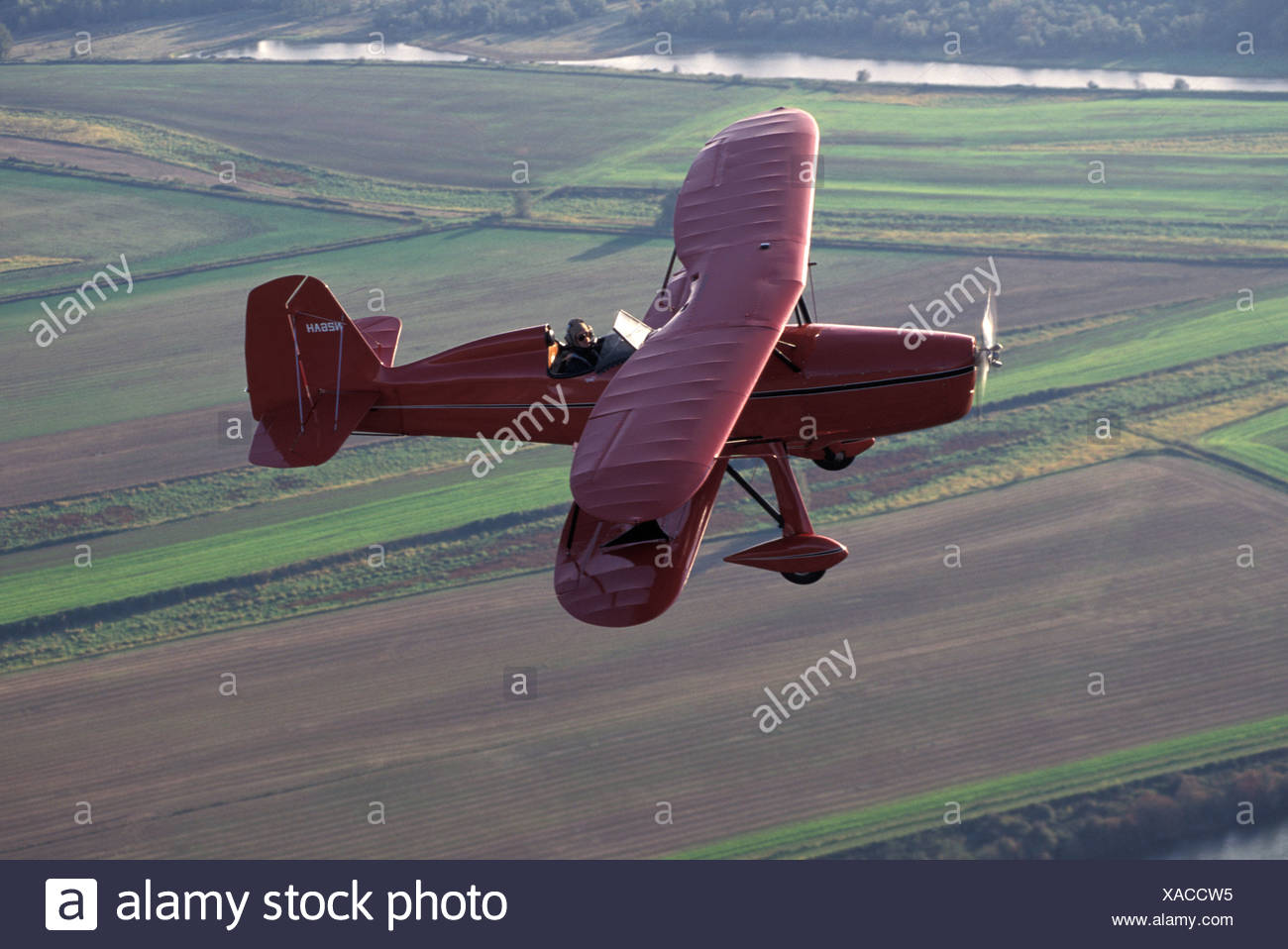 Bi Wing High Resolution Stock Photography and Images - Alamy