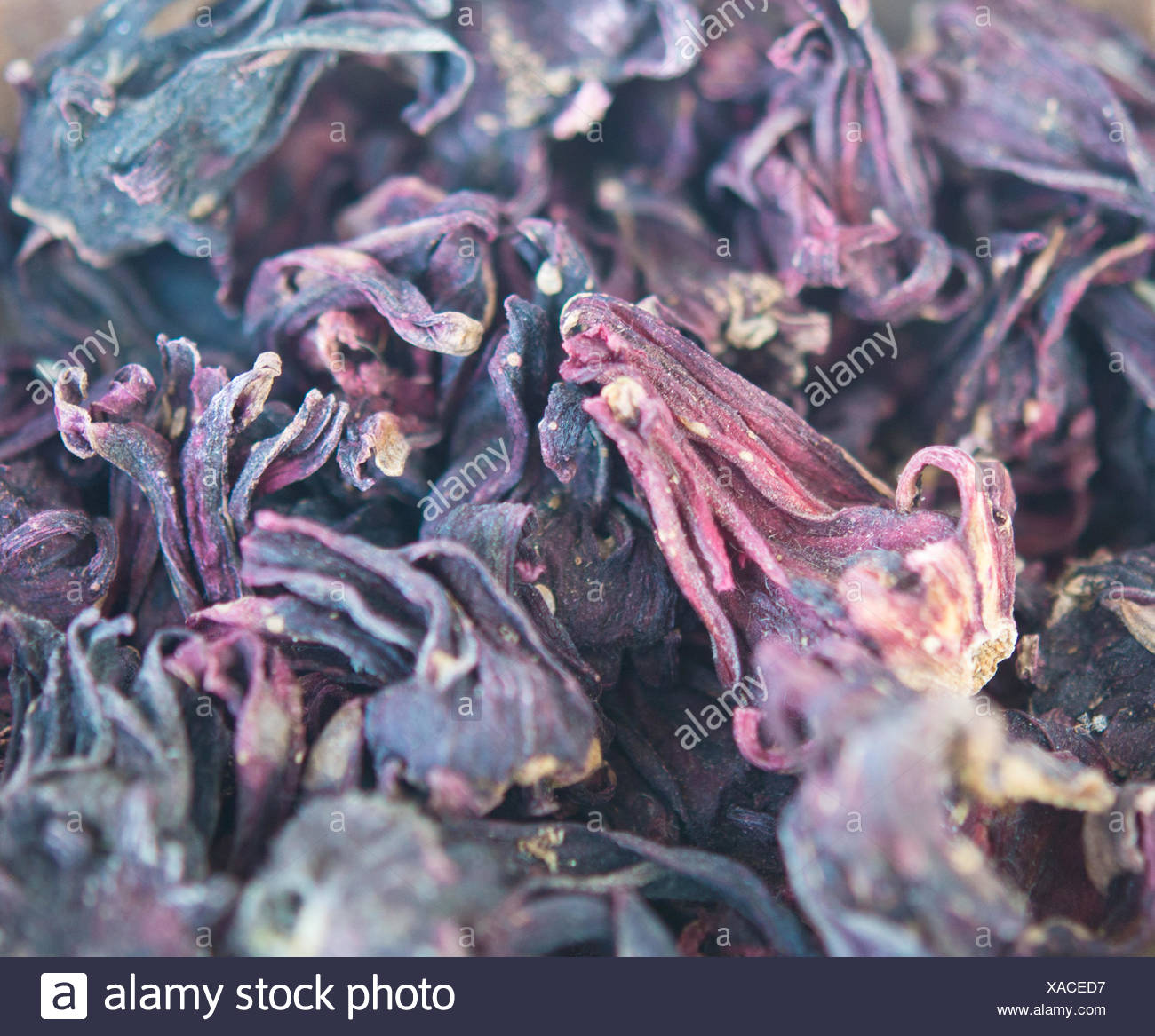 Karkade High Resolution Stock Photography and Images - Alamy