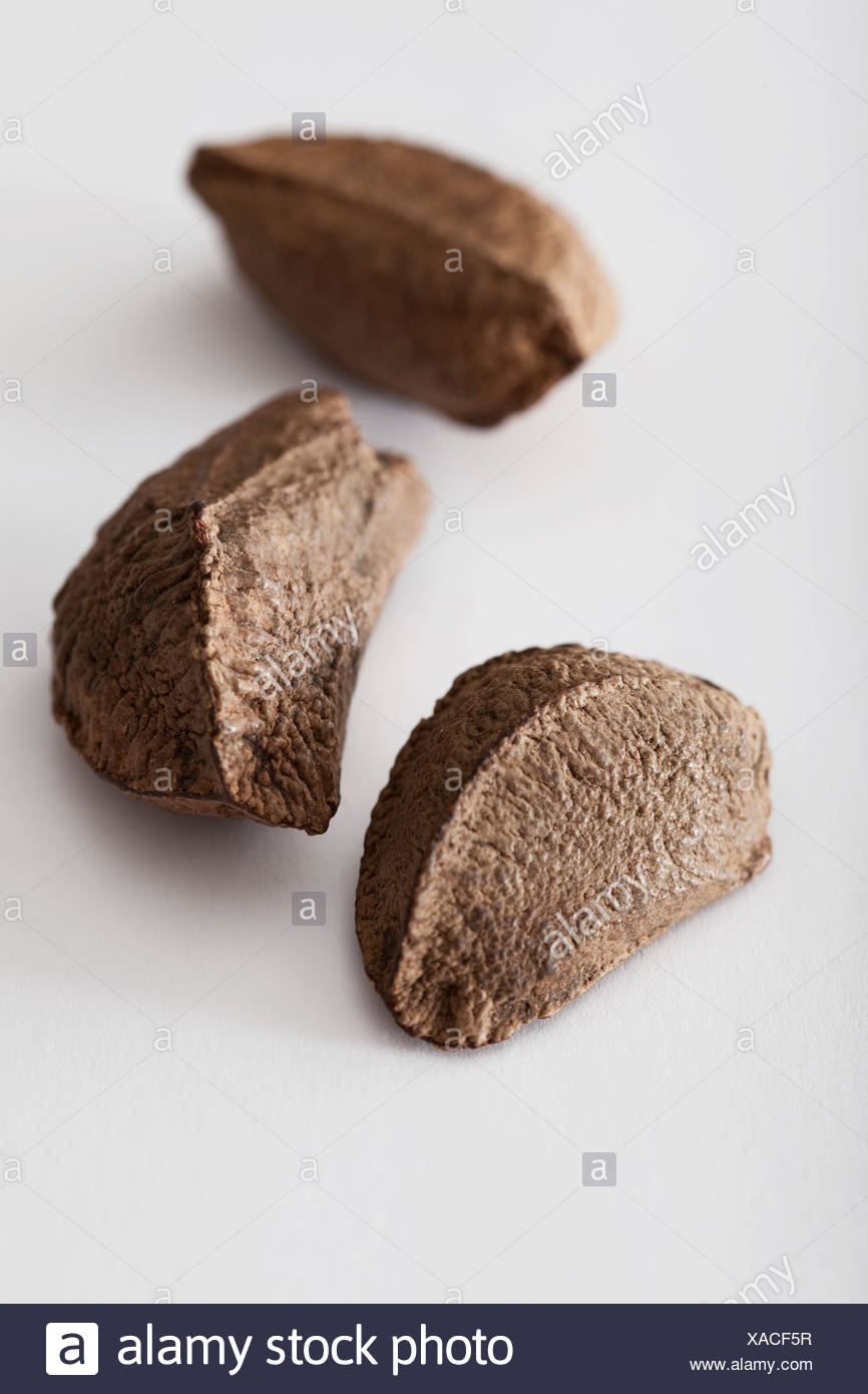 Brazil Nut Fruits High Resolution Stock Photography and Images - Alamy