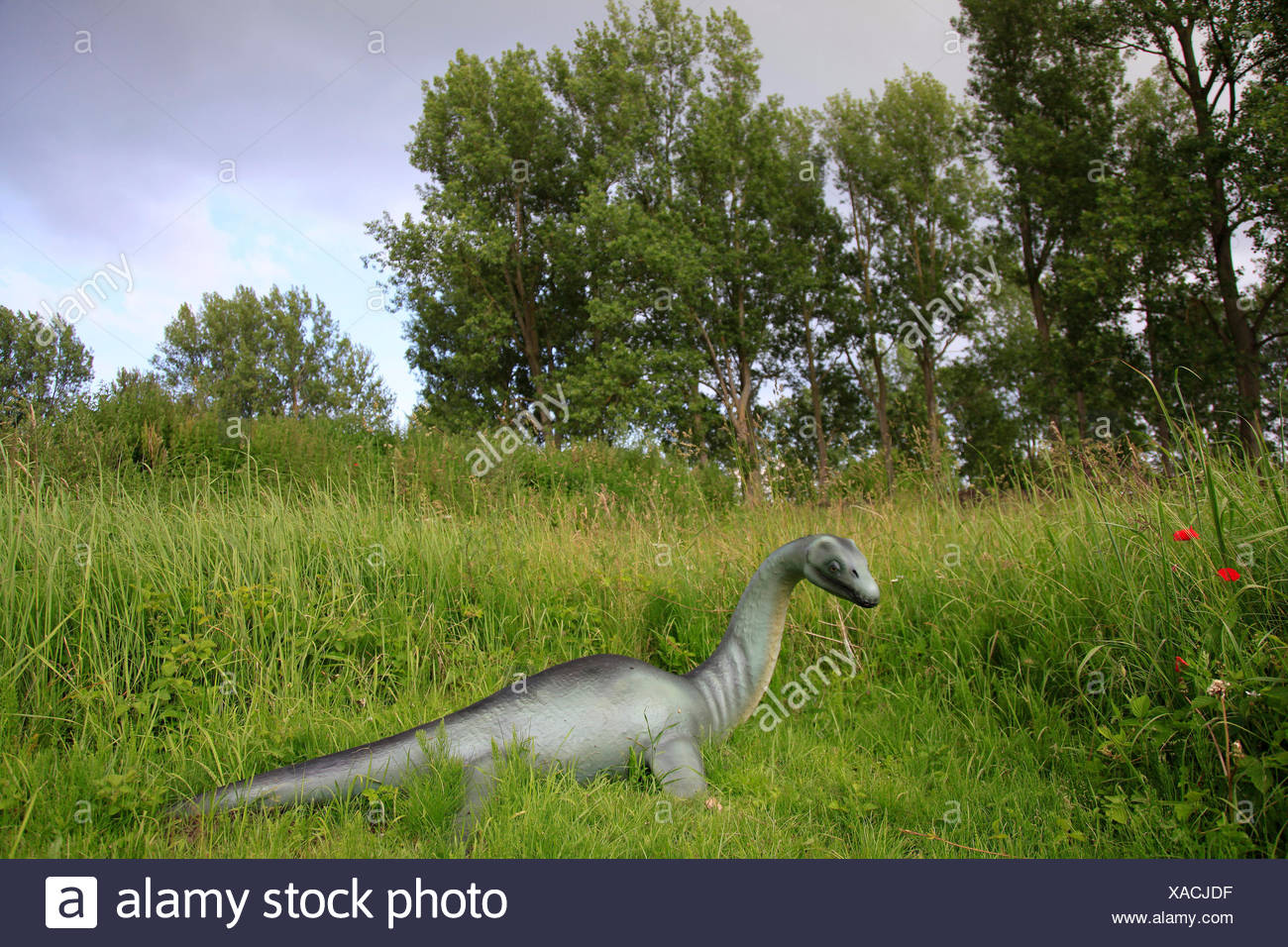 Early Vertebrates High Resolution Stock Photography and Images - Alamy