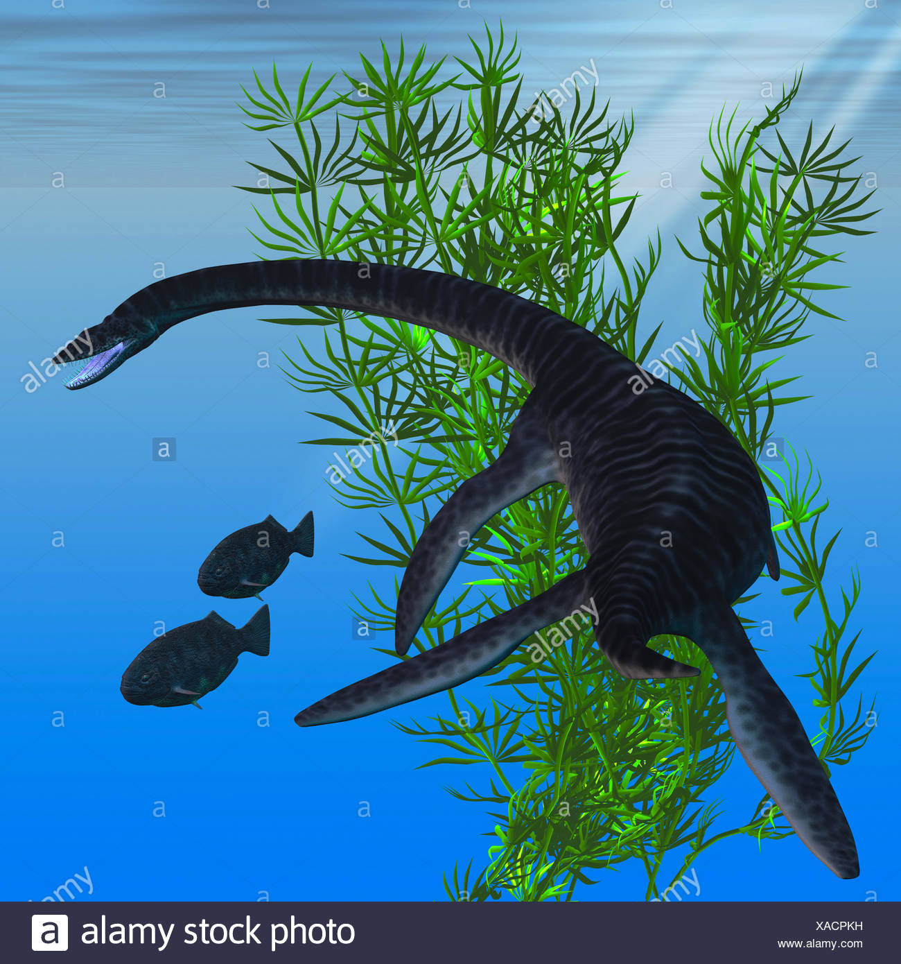 Plesiosaurus Stock Photos & Plesiosaurus Stock Images - Alamy