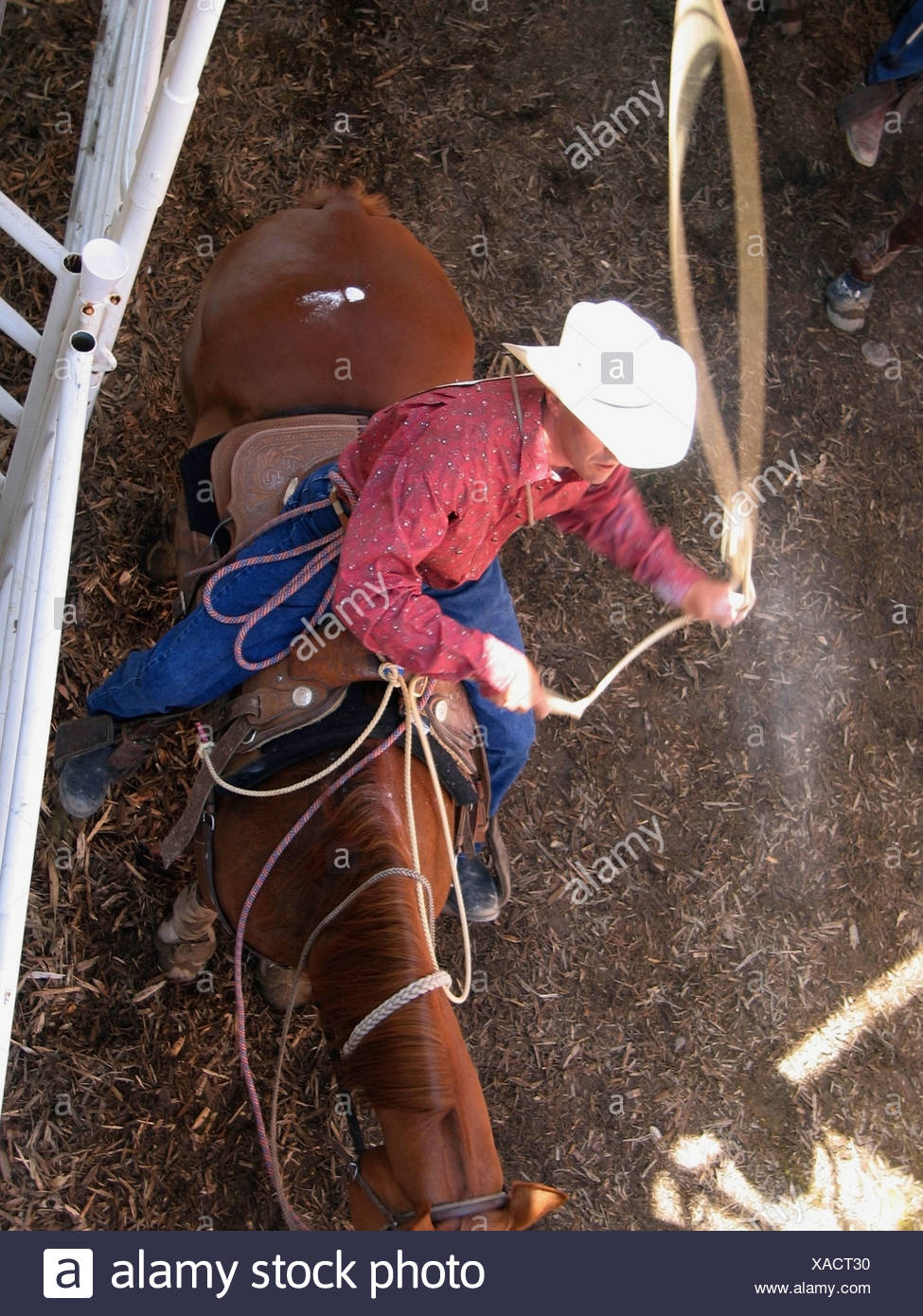 Guy Riding A Horse High Resolution Stock Photography and Images - Alamy
