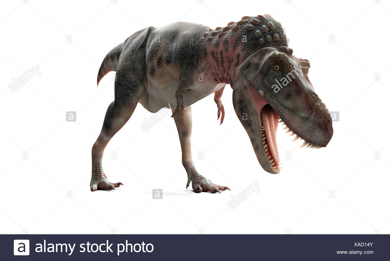 Tarbosaurus Illustration High Resolution Stock Photography and Images ...