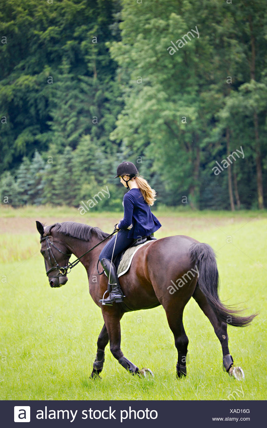Equestrian Activities High Resolution Stock Photography and Images - Alamy