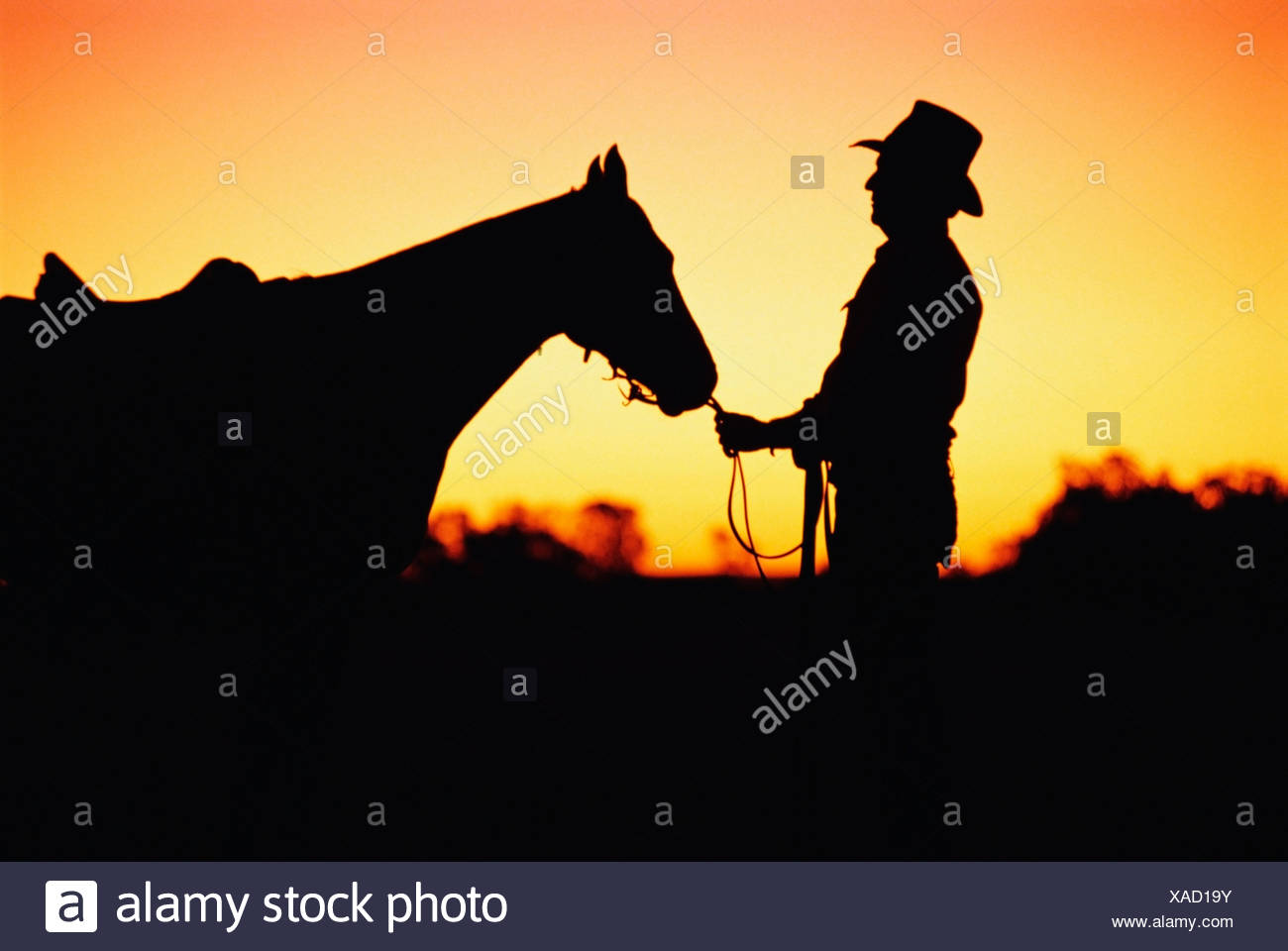 Australian Cowboy Stock Photos & Australian Cowboy Stock Images - Alamy
