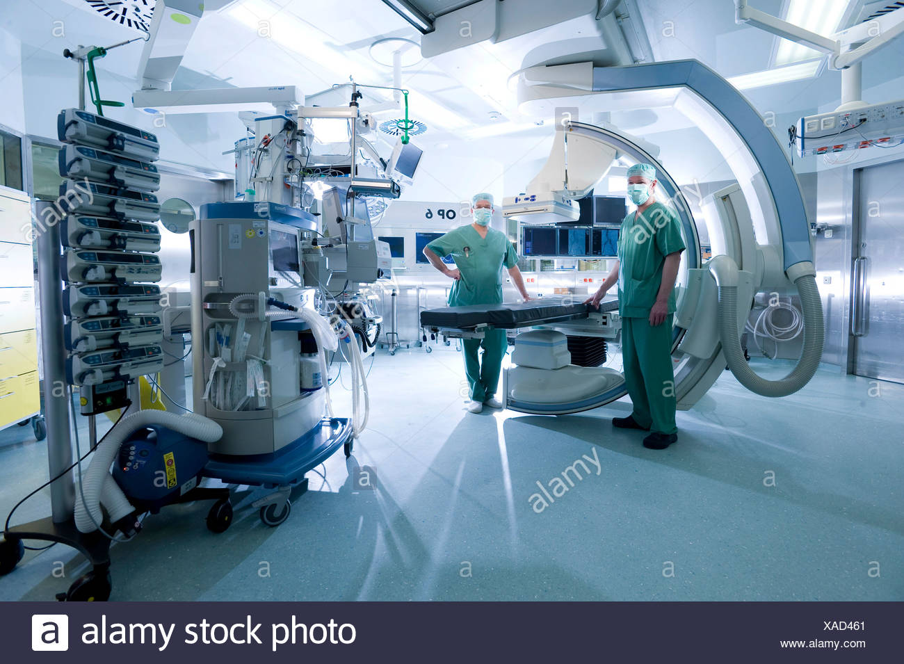 Human Hybrids High Resolution Stock Photography and Images - Alamy