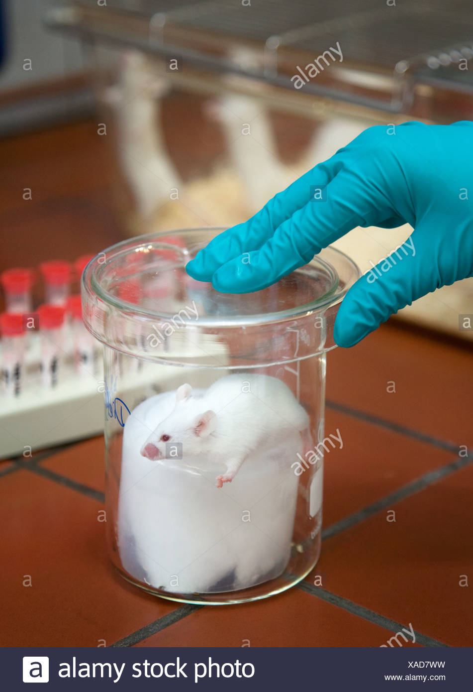 Ether Anesthesia High Resolution Stock Photography and Images - Alamy