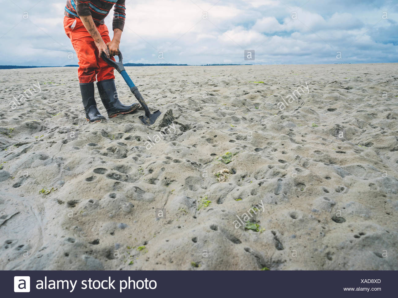 Boy Digging High Resolution Stock Photography and Images - Alamy