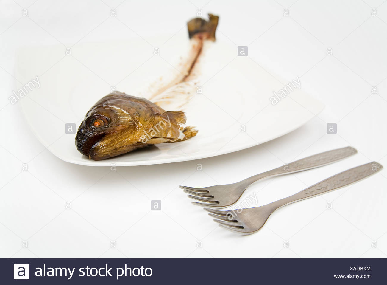 Skeleton Of Salmon High Resolution Stock Photography and Images - Alamy