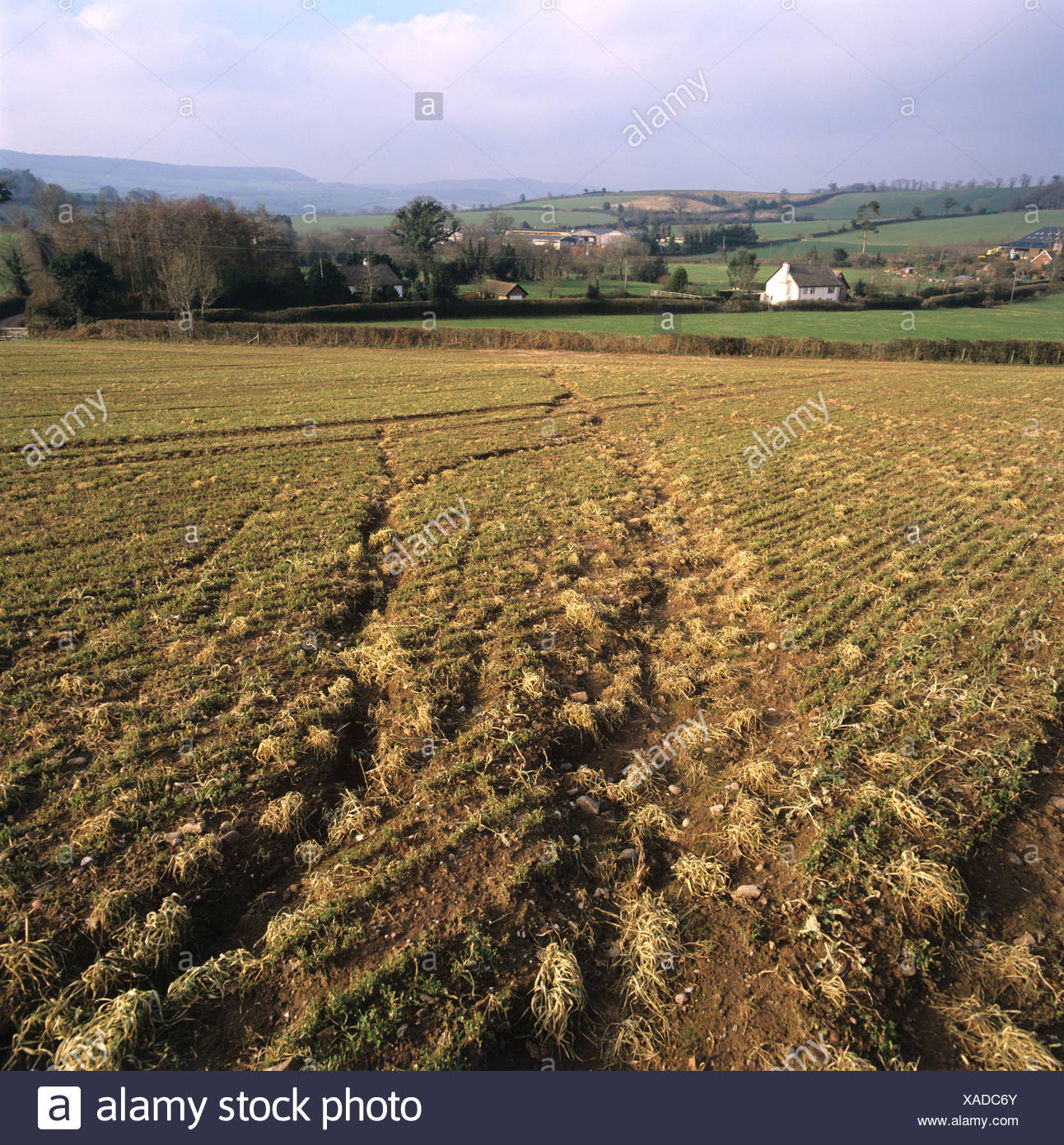 Rill Erosion High Resolution Stock Photography and Images - Alamy