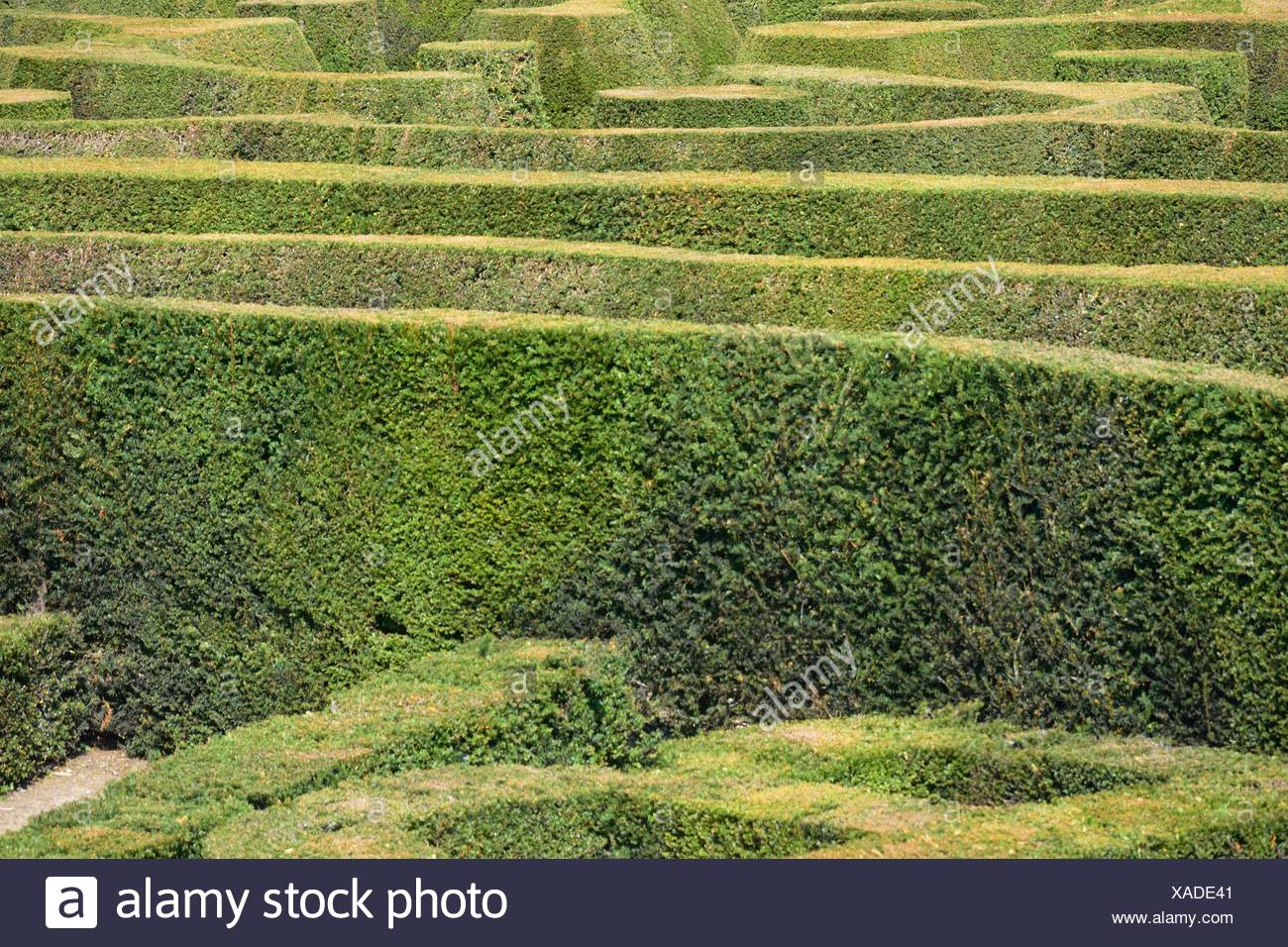 Maze Hedge Pattern Labyrinth Stock Photos & Maze Hedge Pattern ...