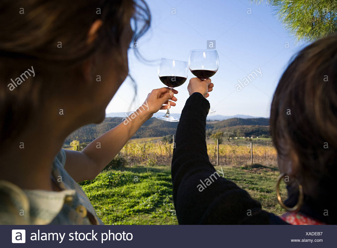 Toasting Two Glasses Red Wine High Resolution Stock Photography and ...