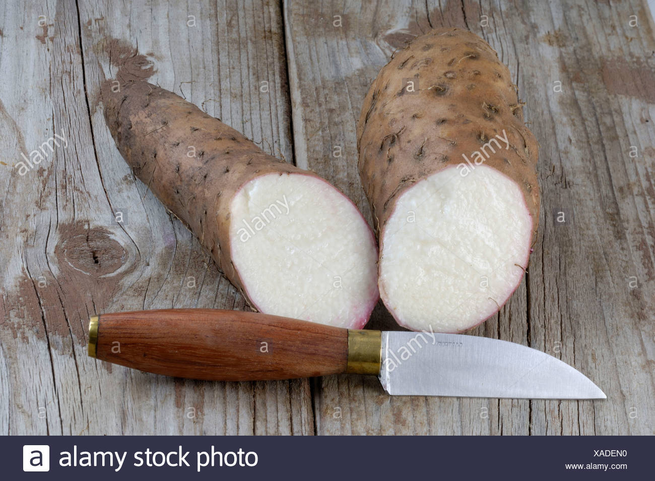 Dioscorea Root High Resolution Stock Photography and Images - Alamy
