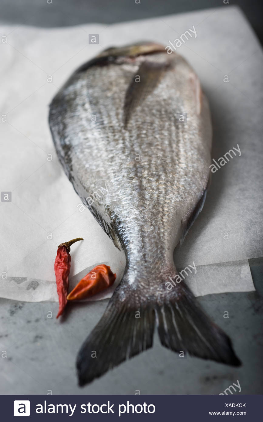 Fresh Red Sea Bream Fish High Resolution Stock Photography and Images ...