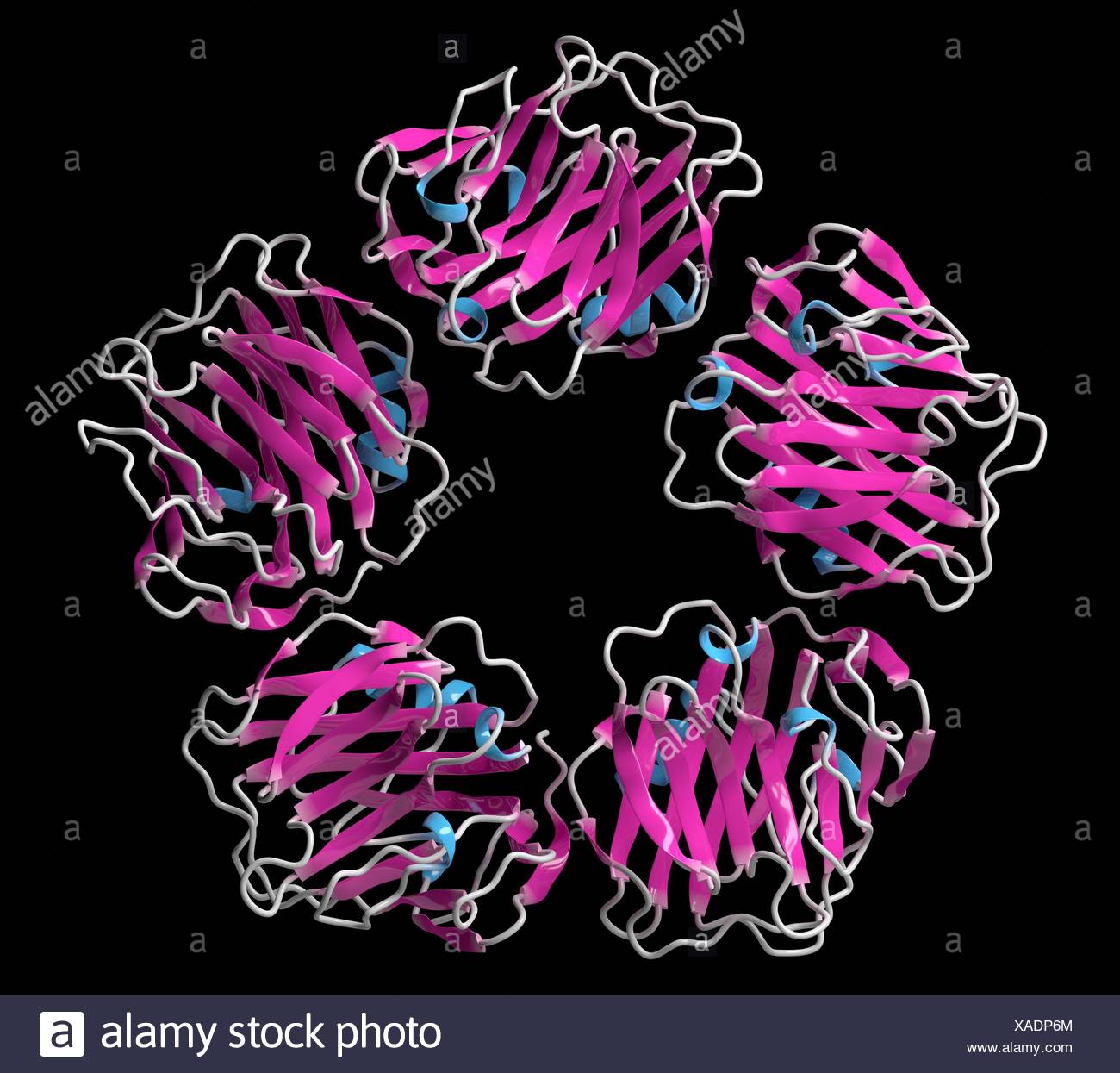 Inflammatory Phase High Resolution Stock Photography and Images - Alamy