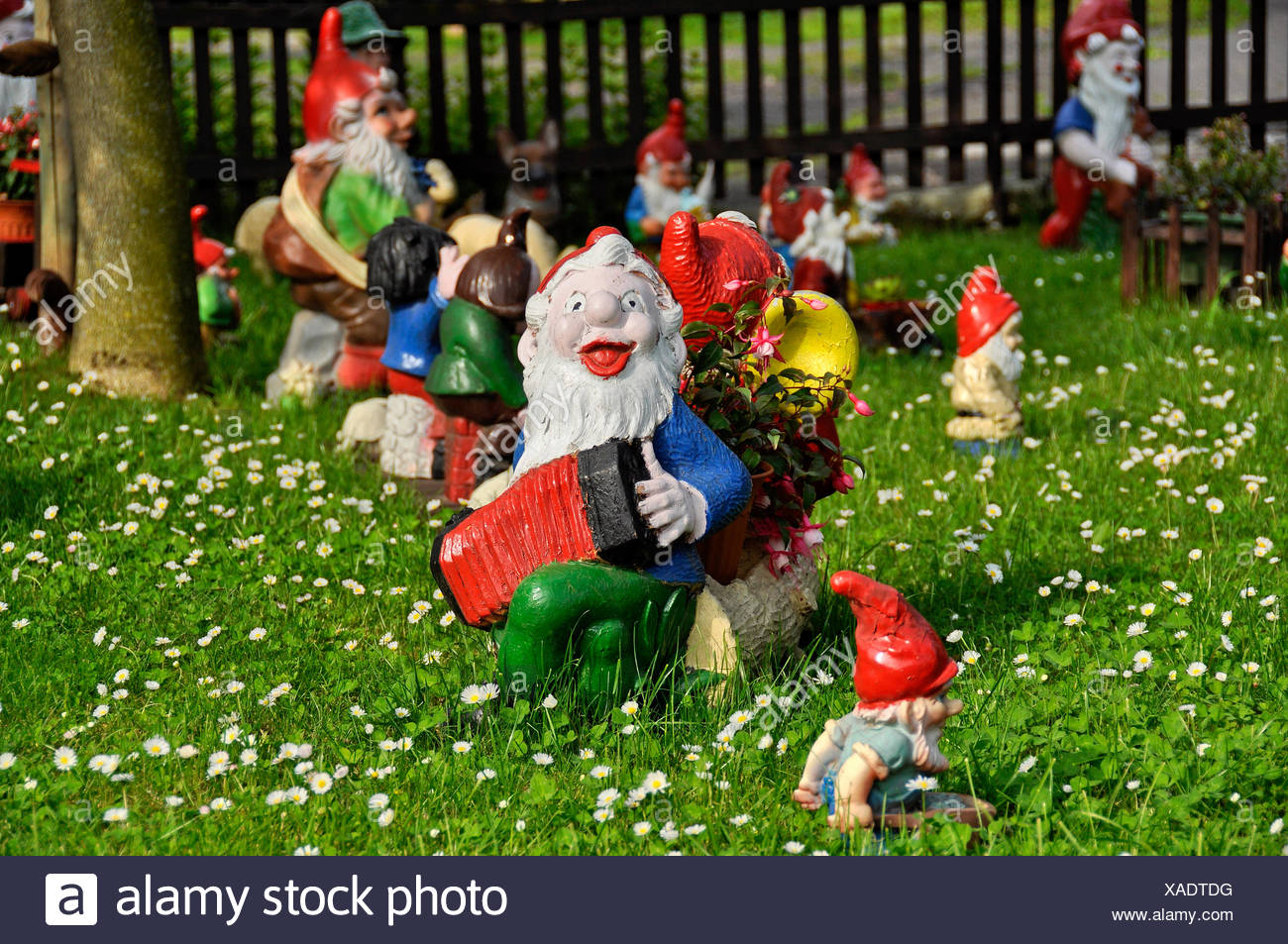 Garden Gnomes Gnome Lawn High Resolution Stock Photography and Images ...