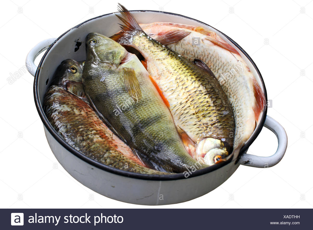 Gutted Fish High Resolution Stock Photography and Images - Alamy