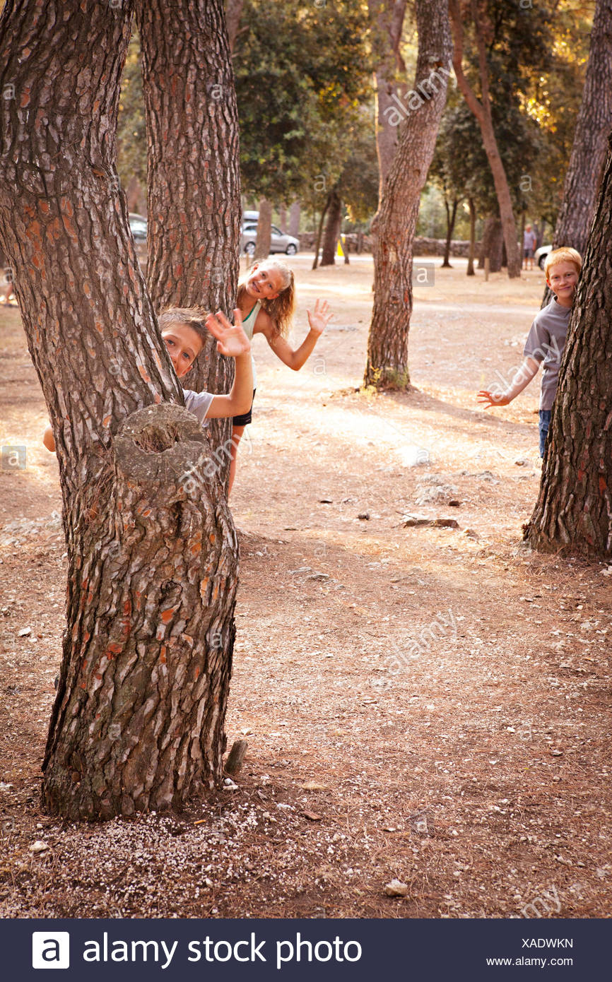 Waving Tree High Resolution Stock Photography and Images - Alamy
